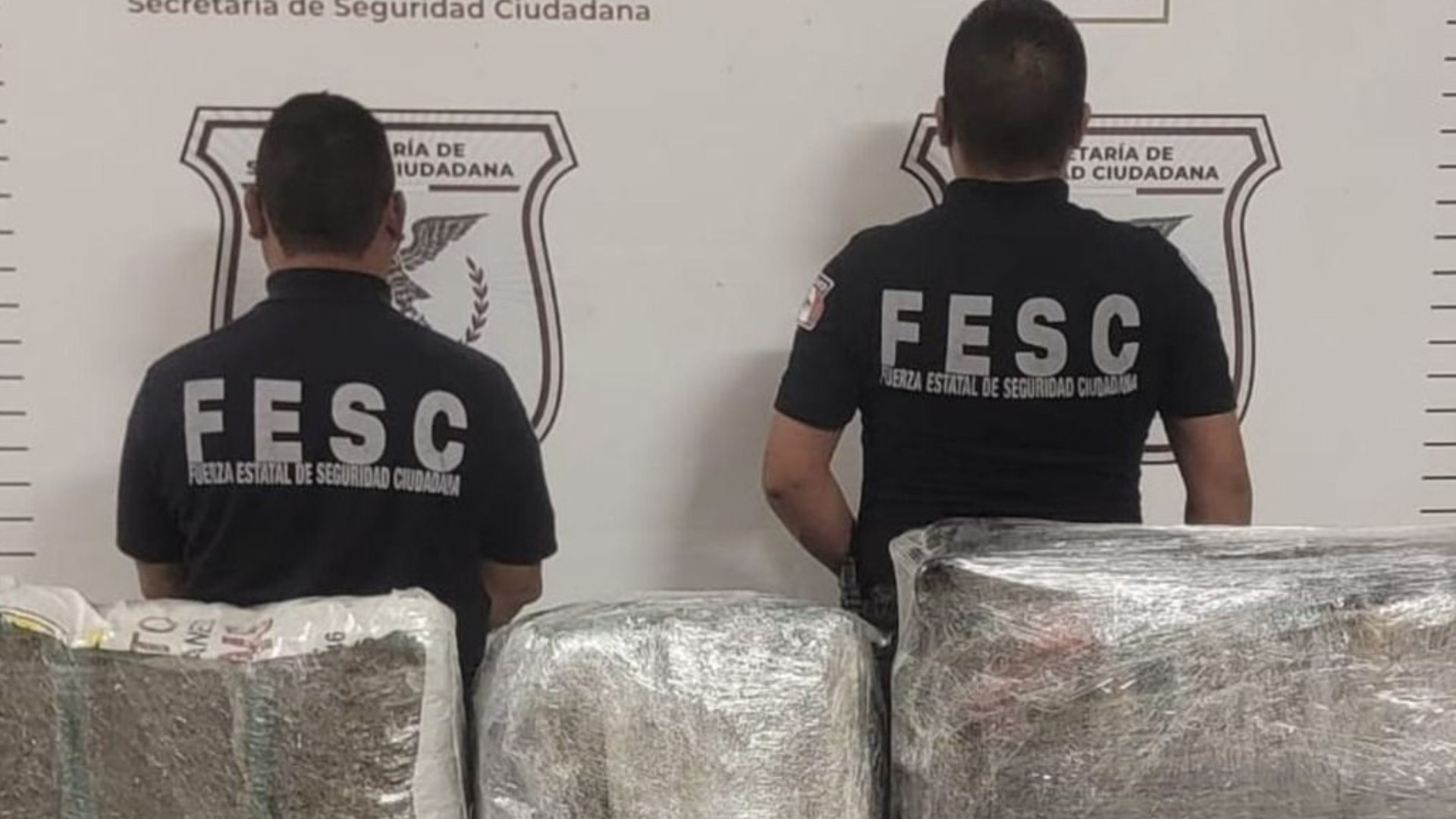 Aseguran 24 Kilos de Marihuana, Estaban Abandonados en un Predio en ...
