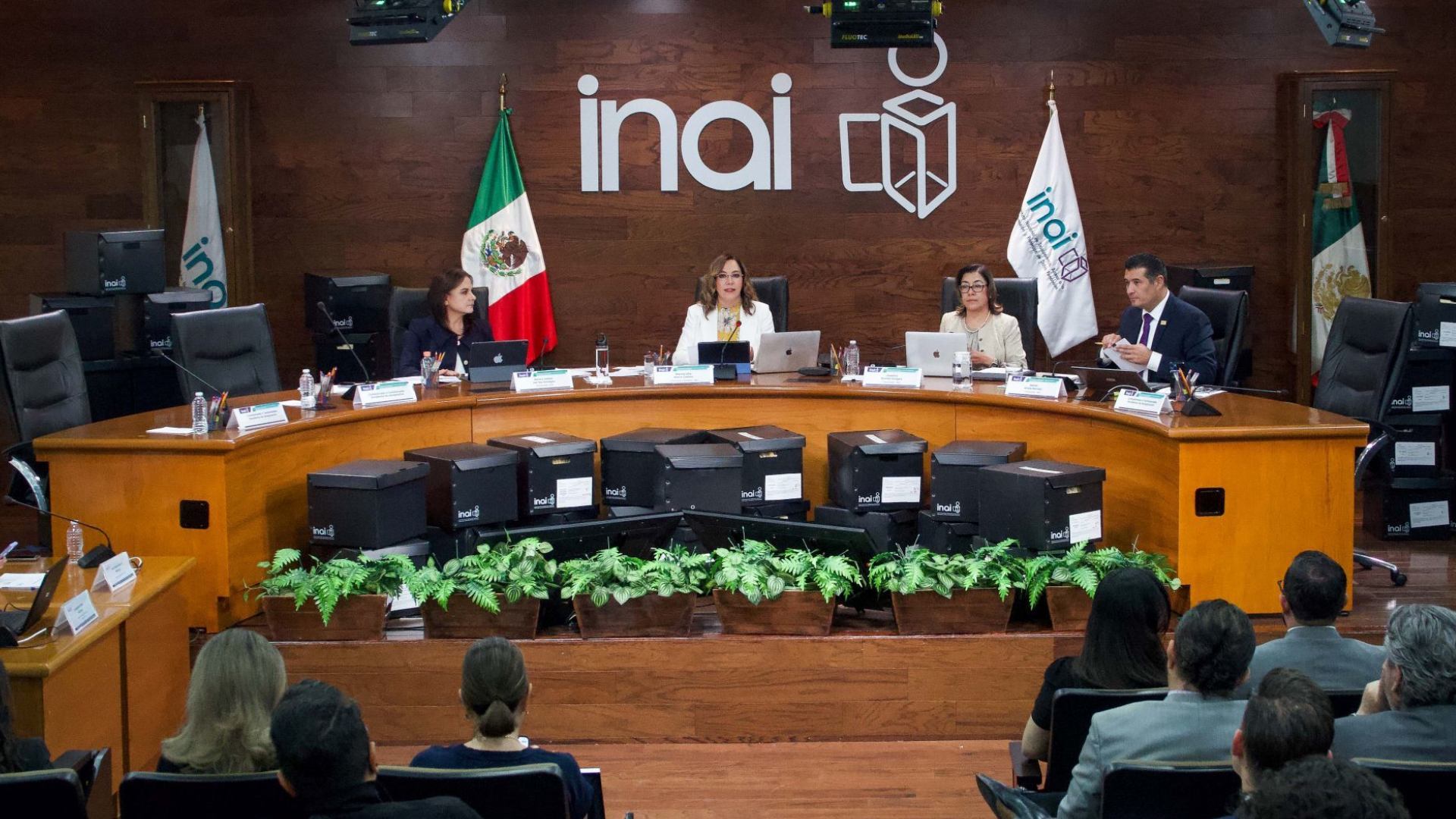 Podcast N+ | INAI y table dance, Cambio Climático y Frida | N+