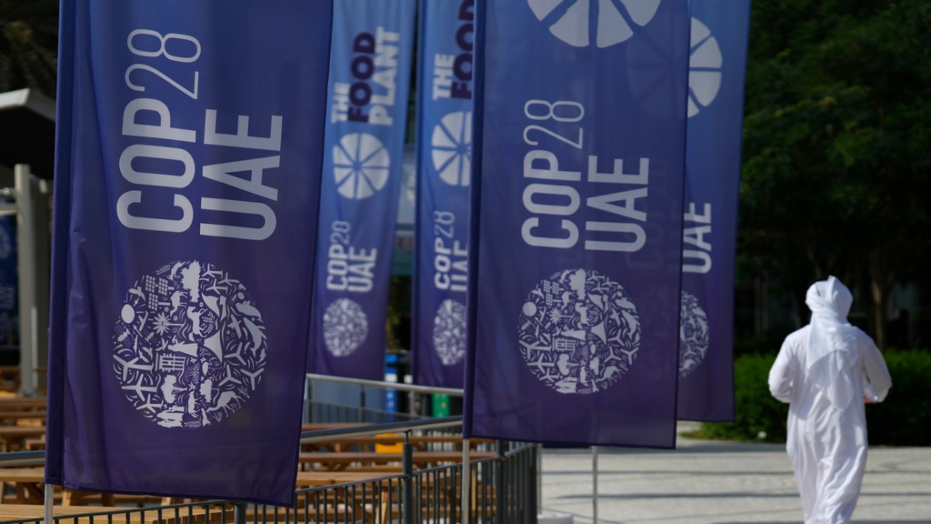 El Reto de México en la COP28: Reducir Emisión de Gases de Efecto ...