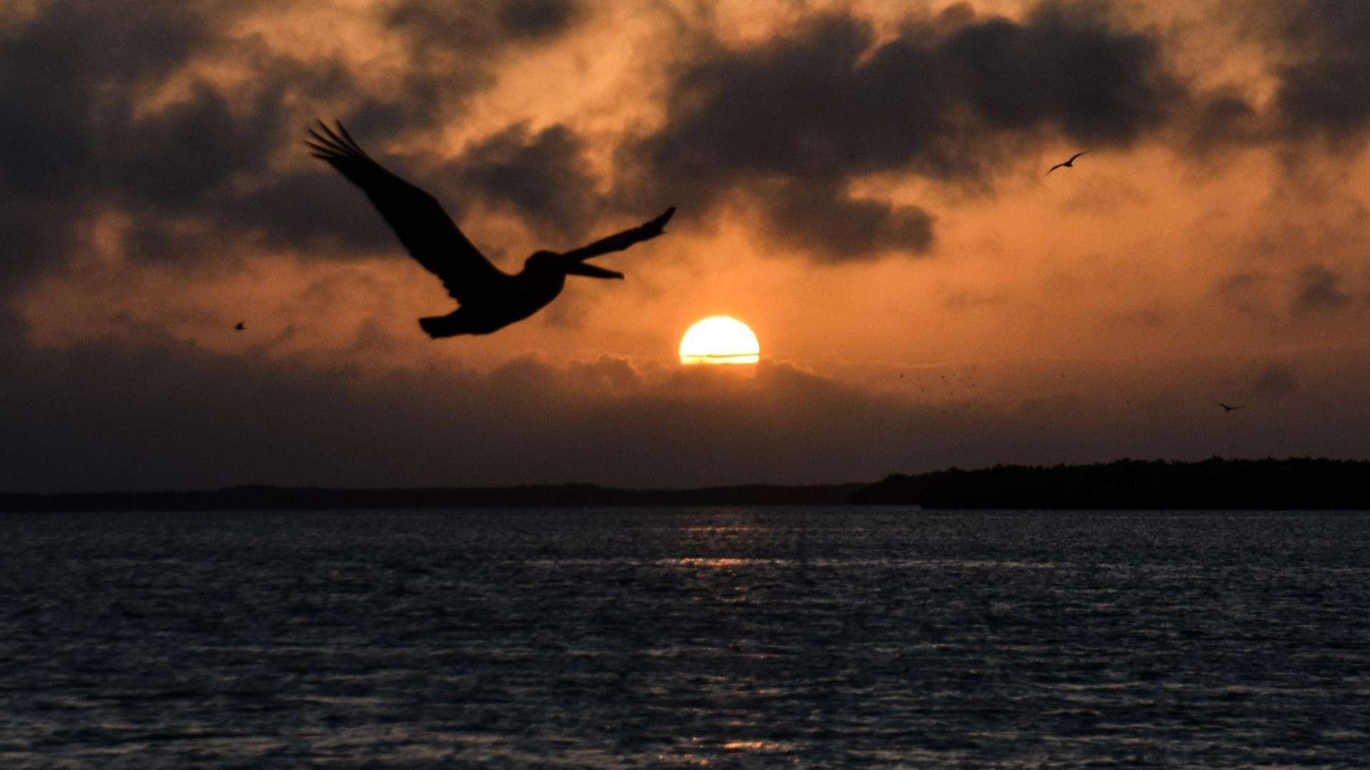 Pronóstico del Clima en México Hoy 17 de Noviembre de 2023: Ascenso de ...