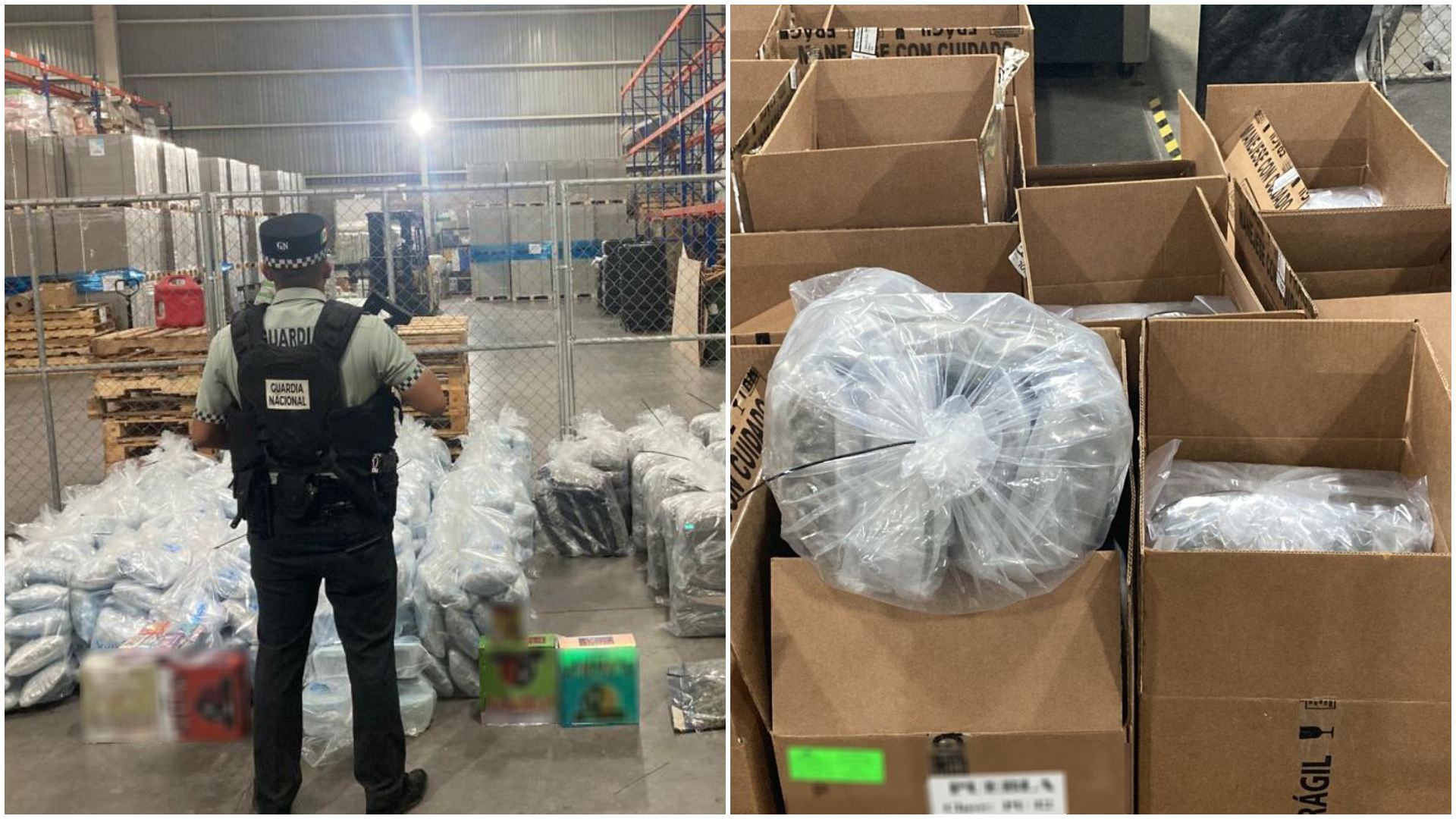 Aseguran Media Tonelada de Marihuana en Aeropuerto de Guadalajara | N+