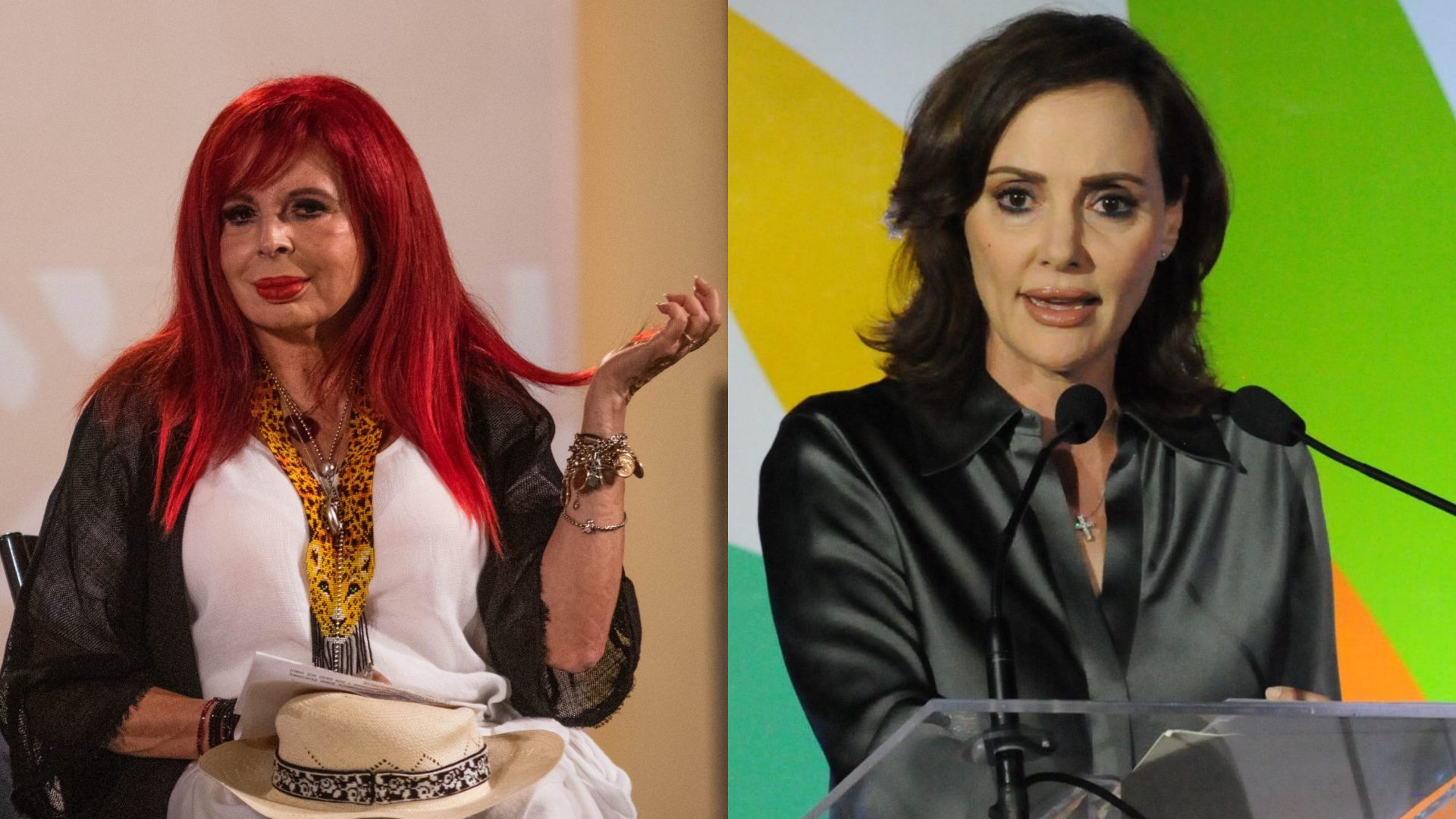 TEPJF Sanciona a Layda Sansores y a Lilly Téllez | N+ TEPJF Sanciona a Layda Sansores y a Lilly Téllez | N+