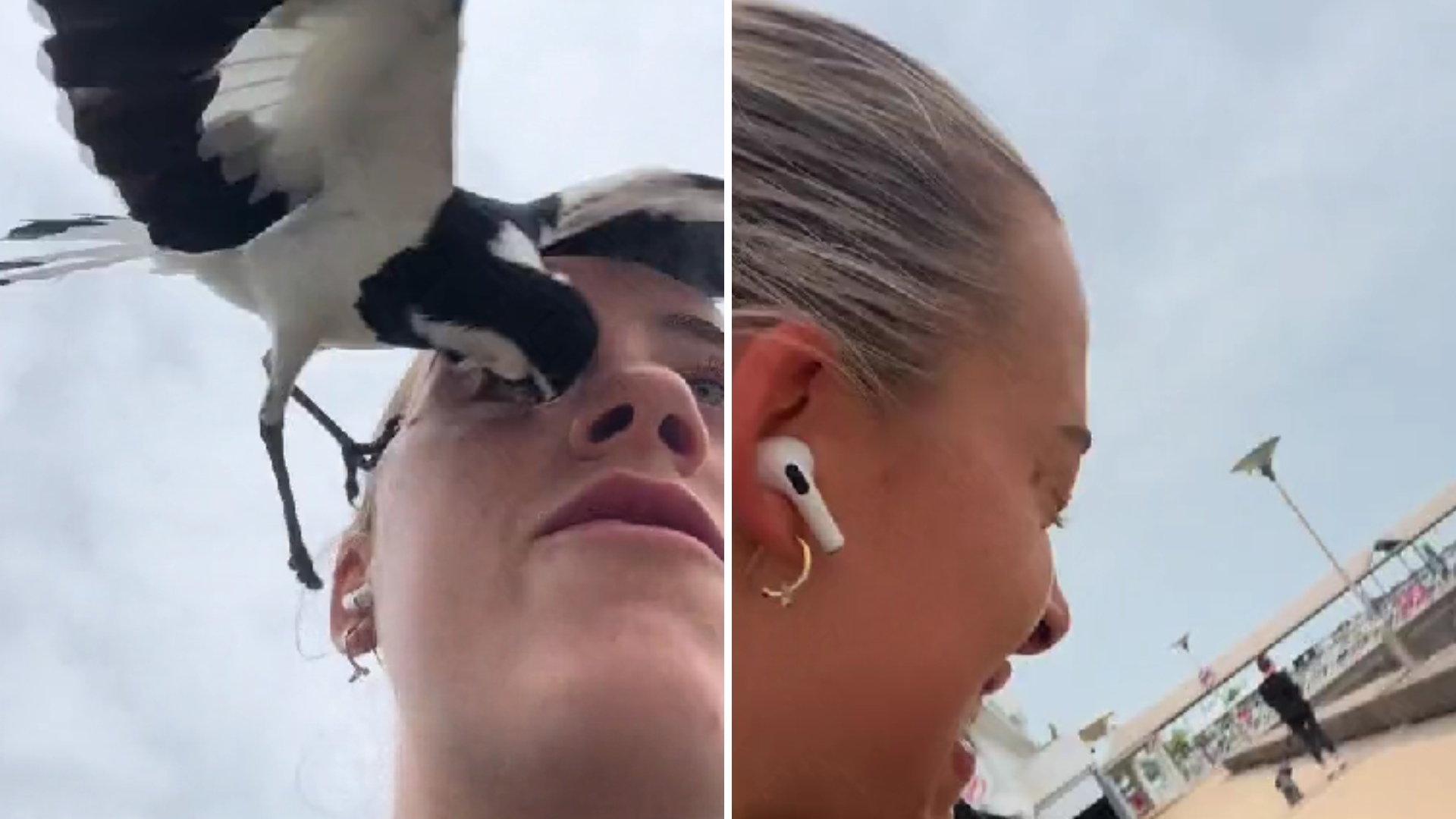 Video | Ave Ataca a Australiana Mientras Corría; Casi Pierde el Ojo | N+