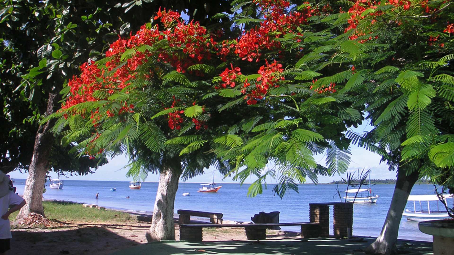 ¿Sabías Que Hay un Vera Cruz en Brasil? Esta es su Historia | N+