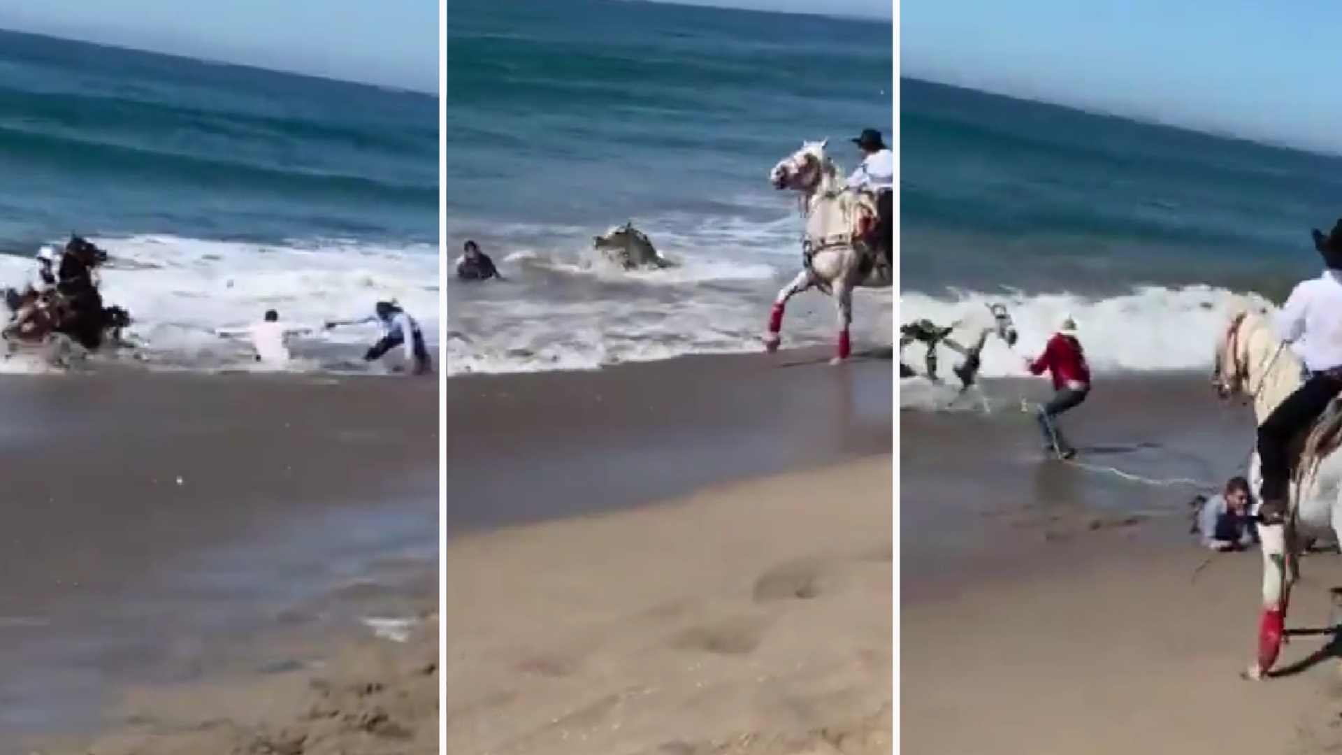 Video | Jinetes y Caballos son Arrastrados por las Olas del Mar en ...