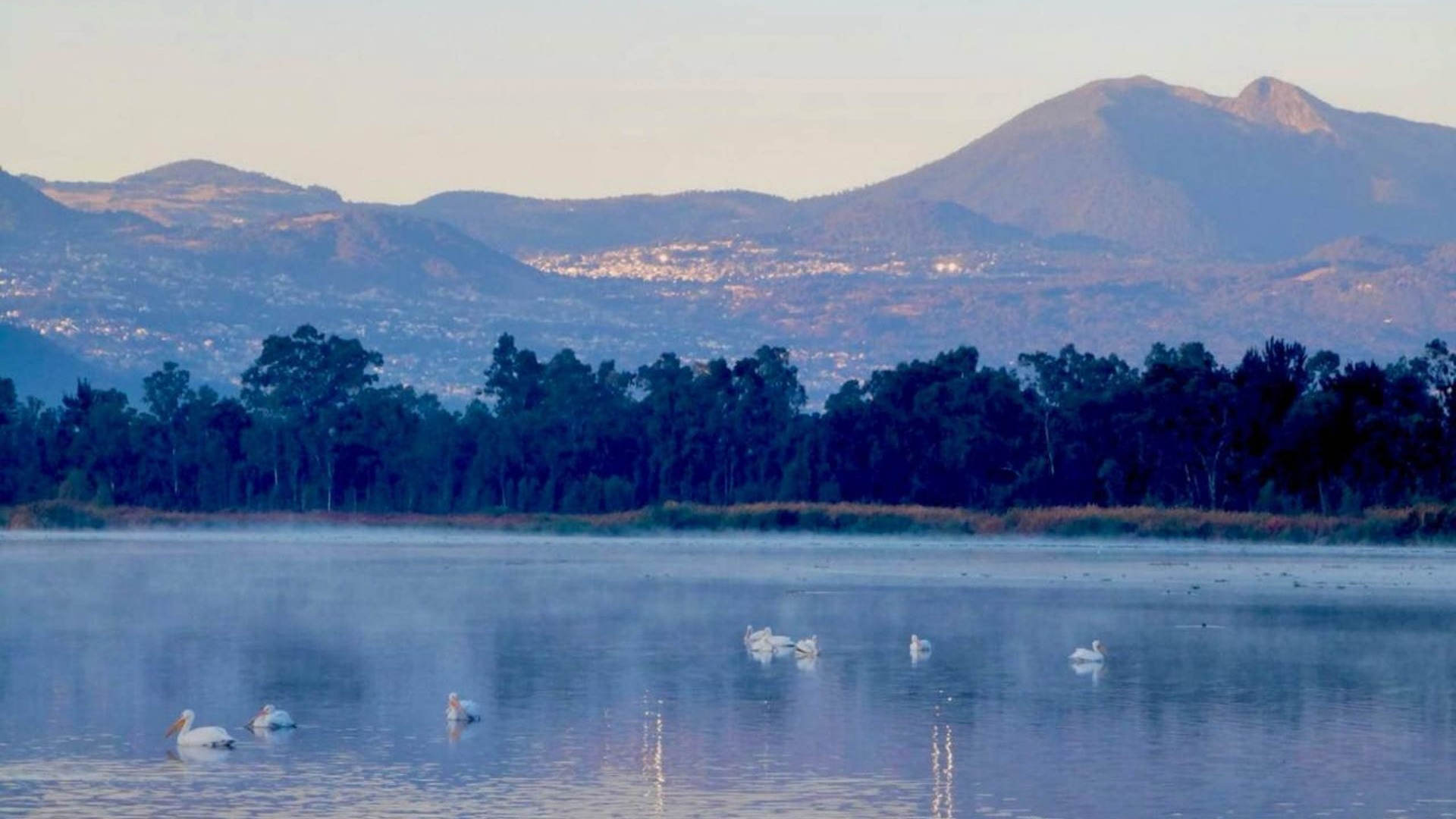 Pronóstico del Clima en México Hoy 25 de Enero de 2024: Se Va Frente ...