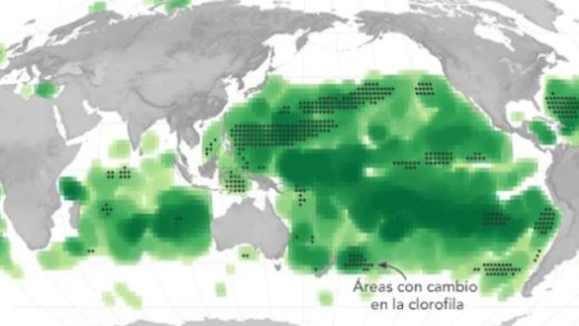 Color del Mar Está Cambiando a Verde; ¿NASA Explica Qué Está Pasando? | N+