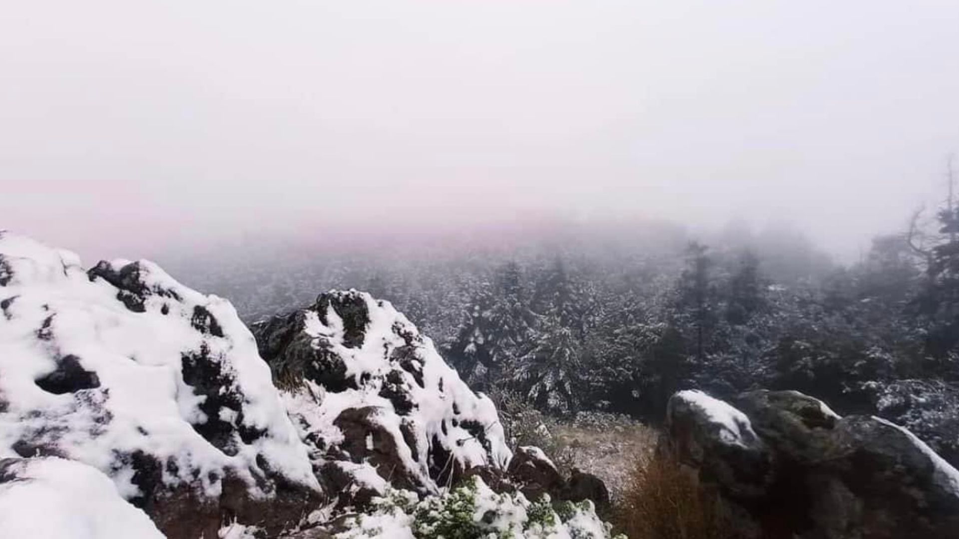 Cae Nieve en el Ajusco, La Marquesa y el Nevado de Toluca Hoy; Así Está ...