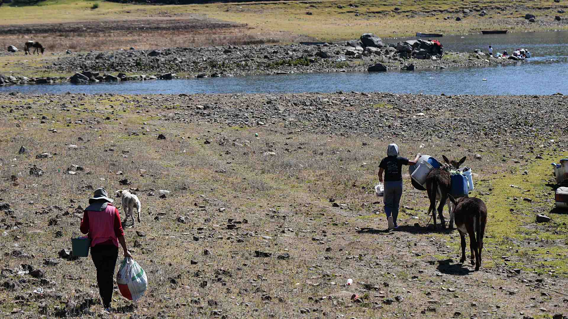 Escasez de Agua en México 2024: Crisis se Agrave en Principales Presas la Última Semana | N+