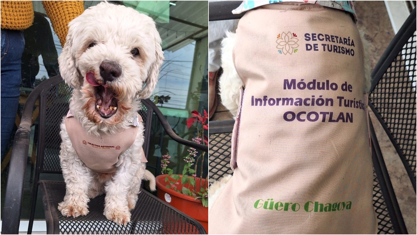 ¿Qué Hacer en Tlaxcala en Febrero 2024? Conoce al Güero Chagoya ...