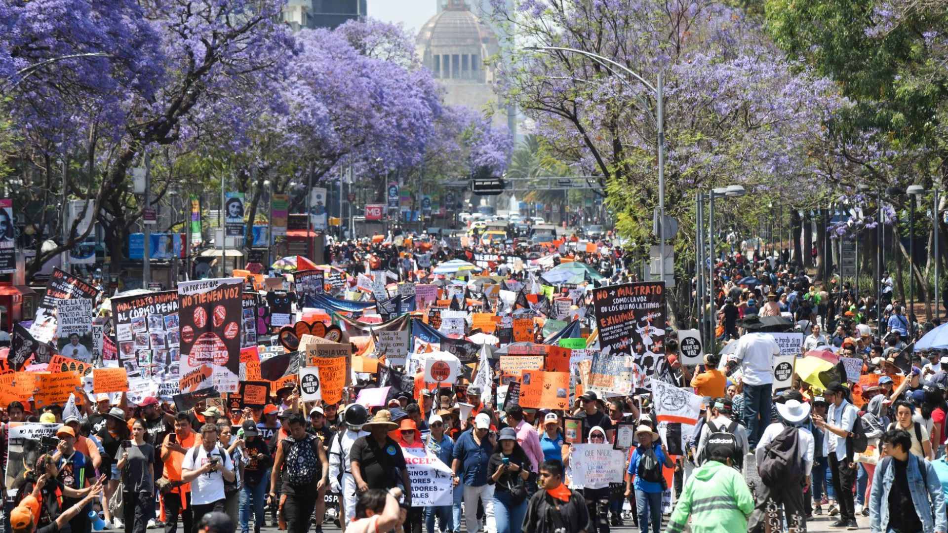 Marchas Hoy 18 de Marzo de 2024 en CDMX: Manifestaciones y Bloqueos | N+