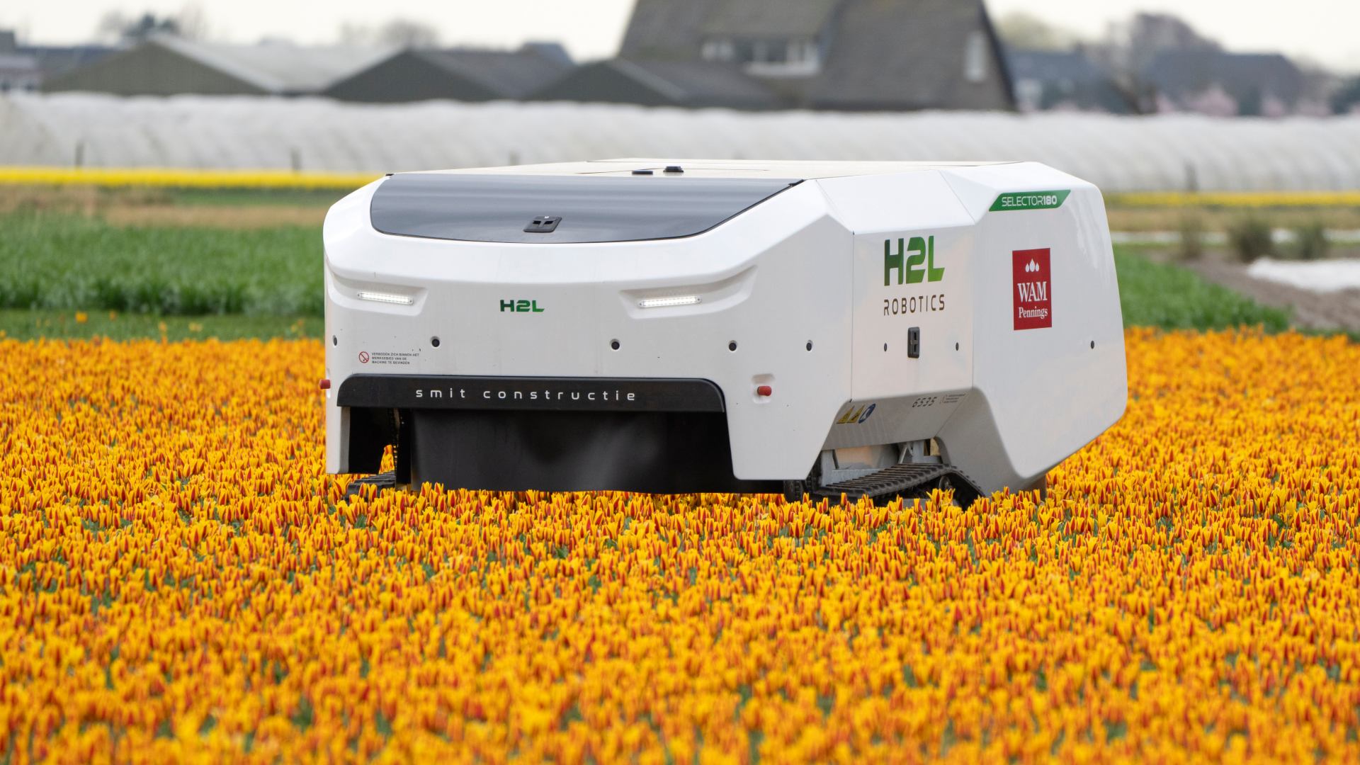 Él Es Theo, el Guardián de los Tulipanes en Ámsterdam | N+