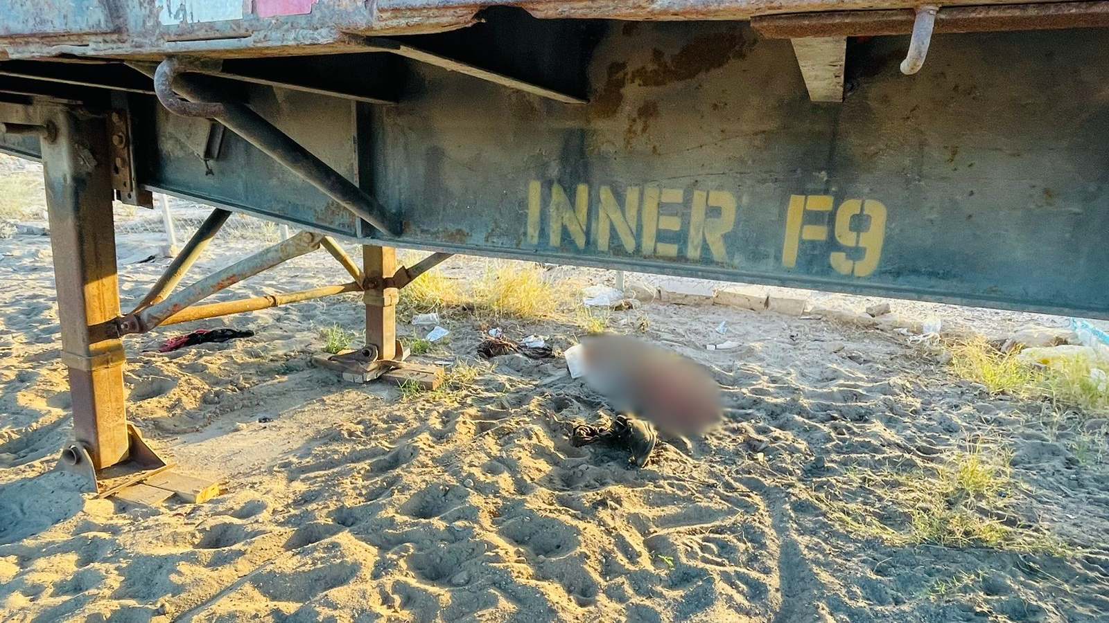 Muere Mujer tras ser Atacada por Perros en San Felipe, Baja California | N+