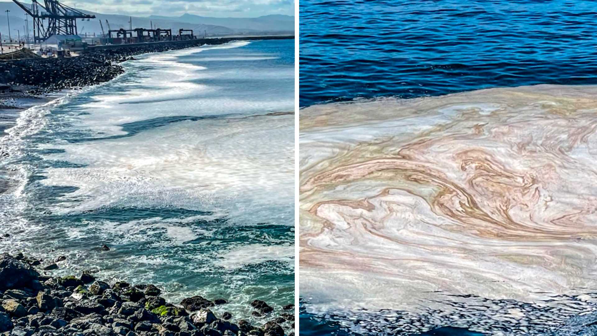 Espuma 'Sospechosa' Genera Alerta en Playa de Ensenada; Esto se Sabe | N+