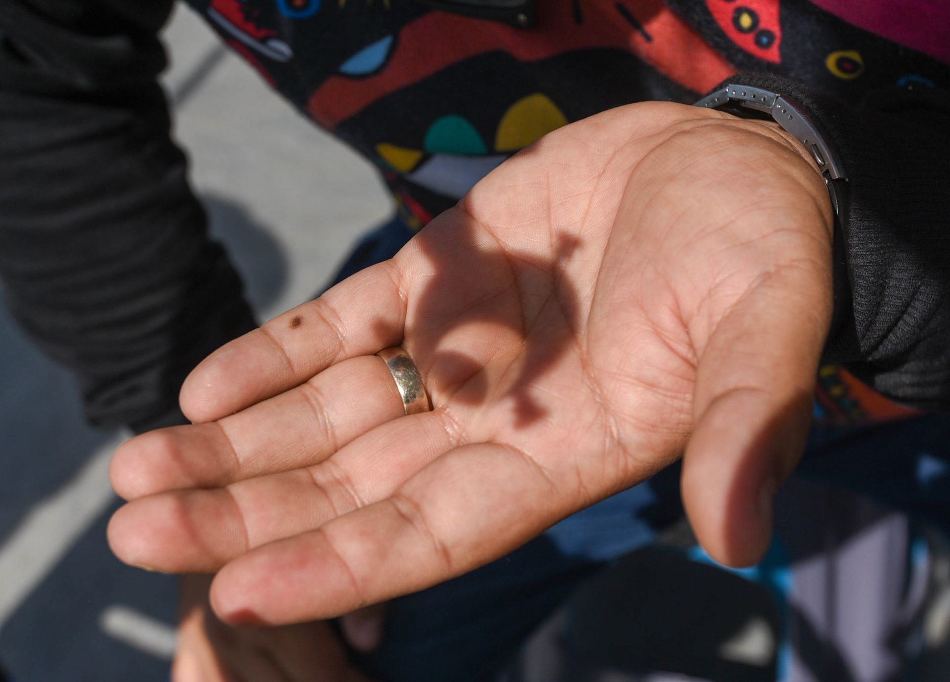 Efecto Pinhole en el Eclipse Solar 2024: ¿Qué Es y Por Qué Se Ve la ...