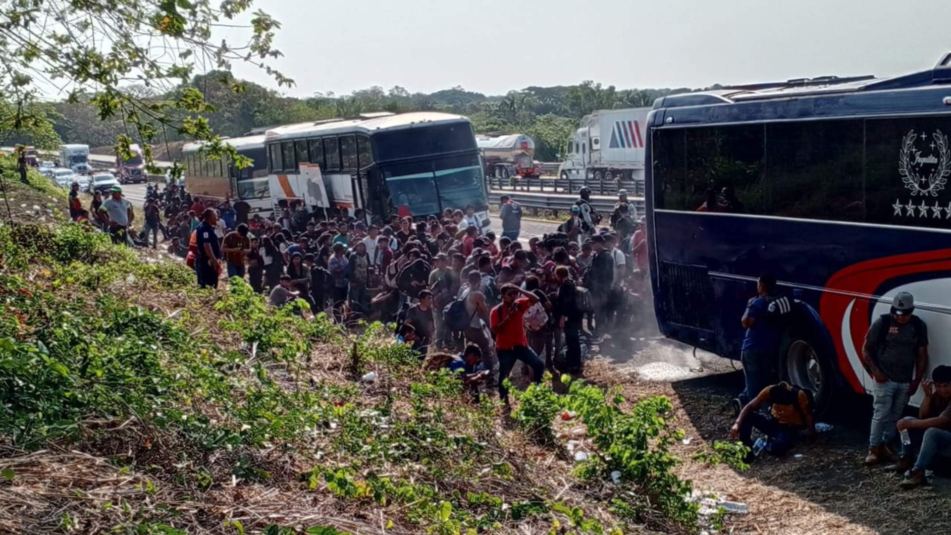 Abandonan A 500 Migrantes Dentro De Autobuses En Municipios Del Sur De