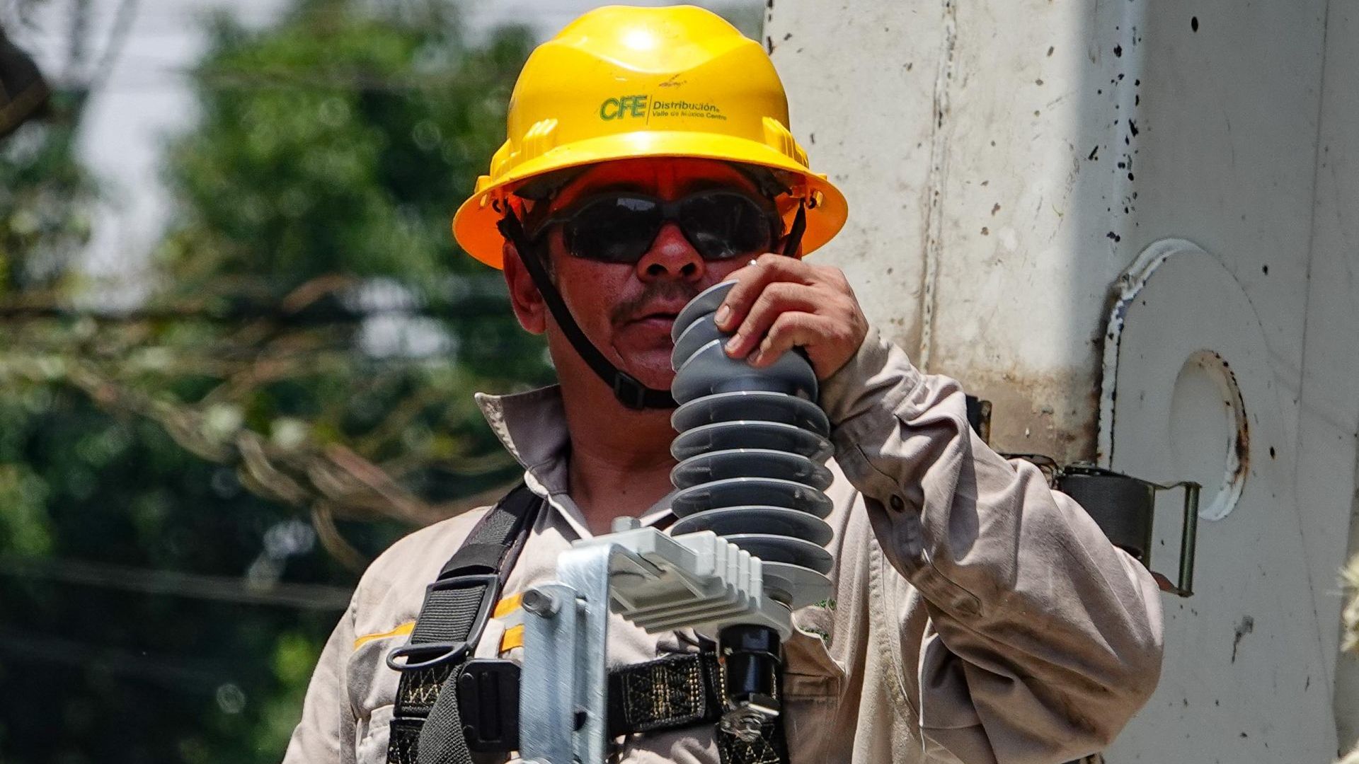 Bolsa de Trabajo CFE 2024: ¿Cómo Entrar a Trabajar? Requisitos Comisión ...