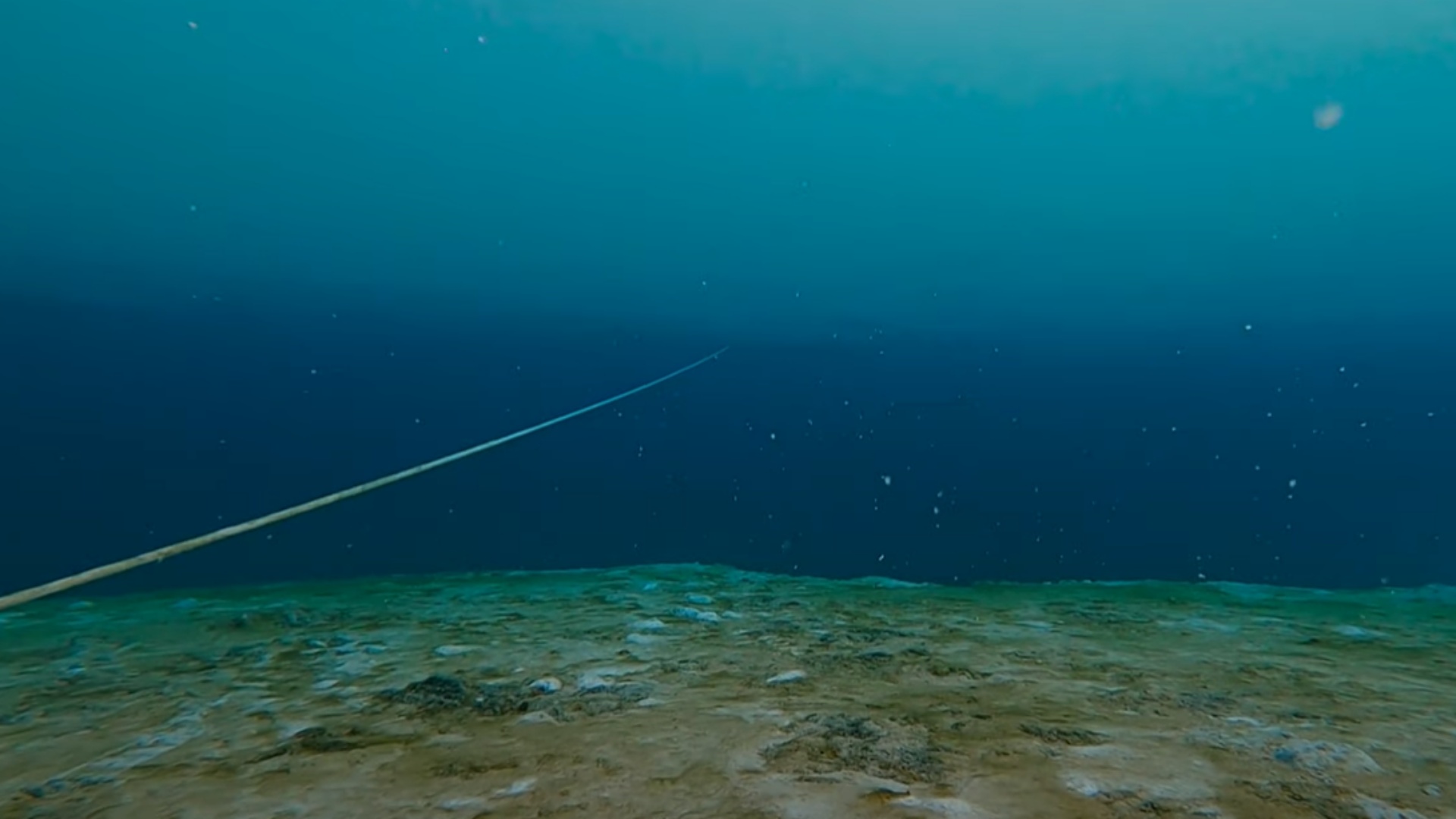 Taam ja’: Así Se Ve por Dentro el Agujero Azul de Chetumal, Más ...