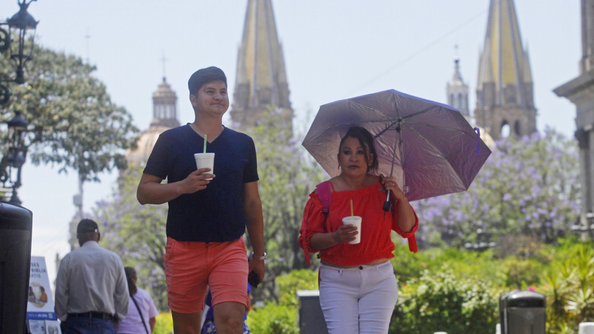 Pronóstico del Clima en México Hoy 28 de Mayo de 2024: 19 Estados ...
