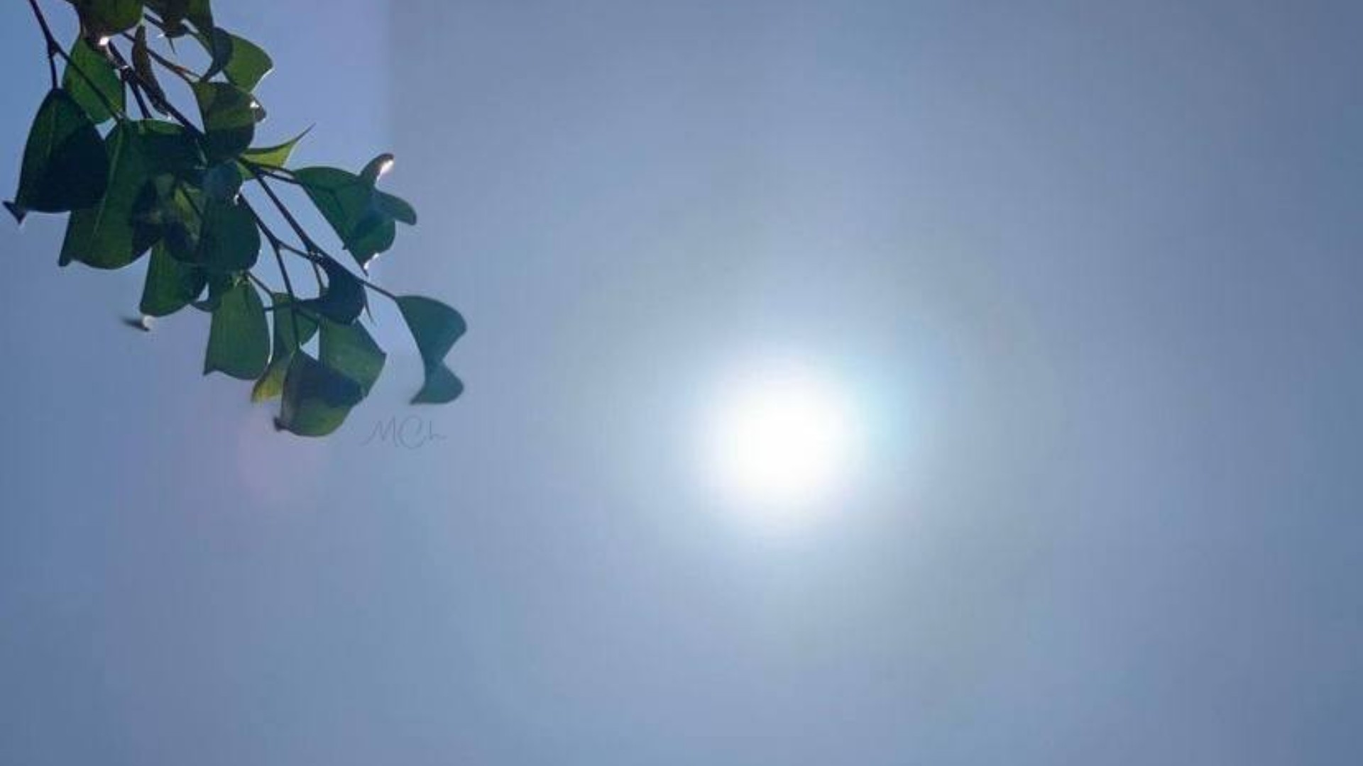 Así se Vivió el Fenómeno Astronómico Conocido como ‘El Cenit’ en ...