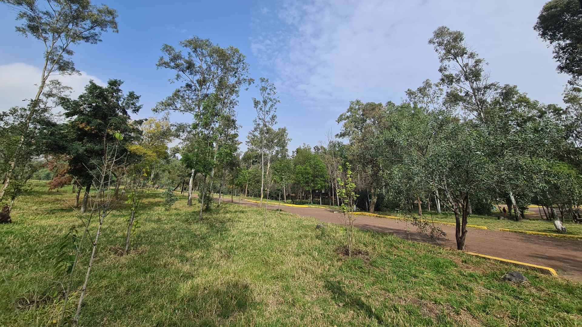 Bosque de Nativitas, Pulmón de la CDMX, Está en el Abandono | N+
