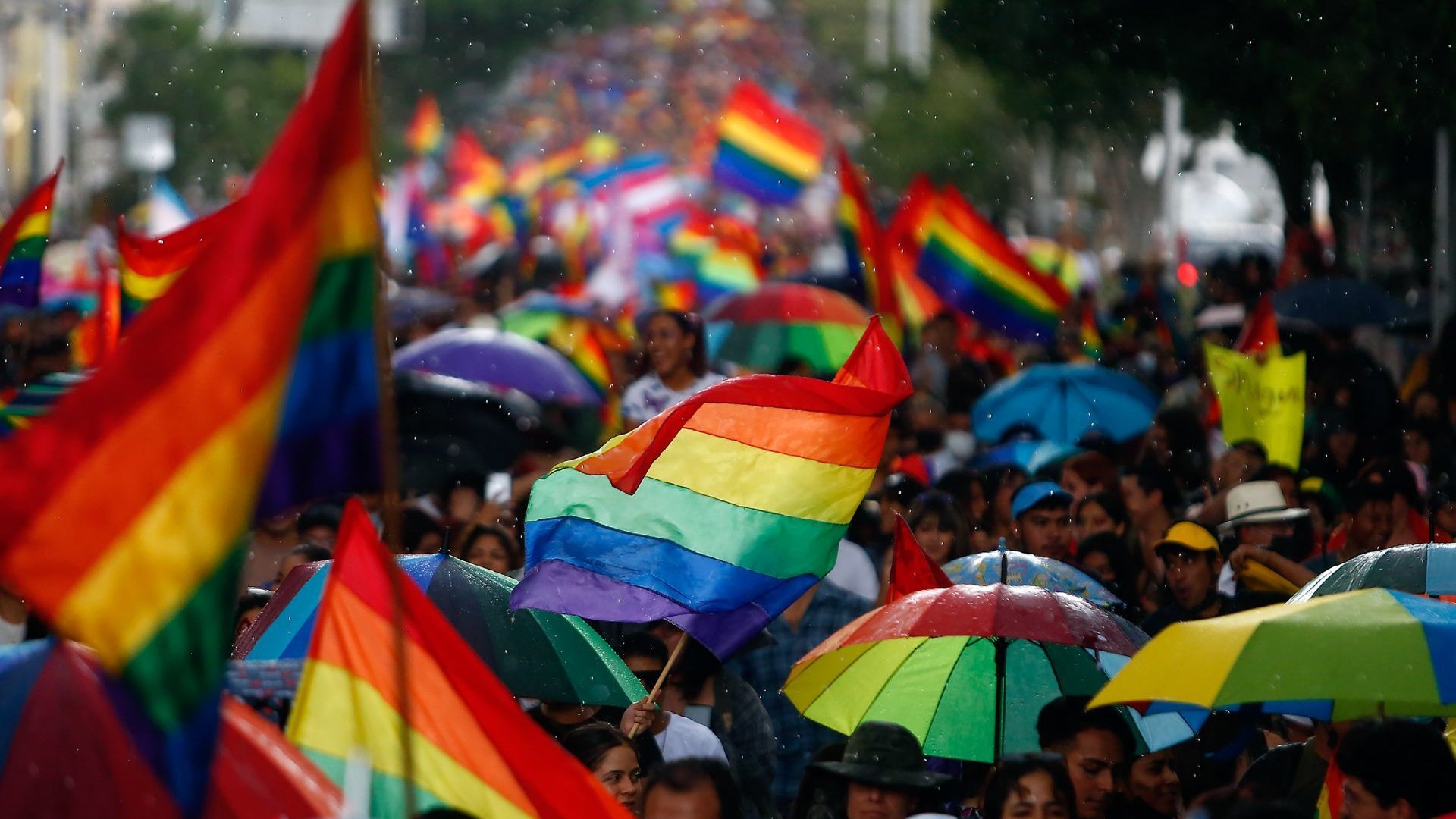 ¿Dónde Ver Marcha LGBT 2024 en CDMX? Transmisión en Vivo del Desfile ...