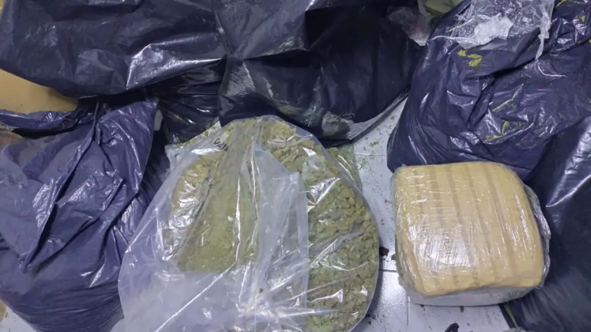 Operativo en la Venustiano Carranza Hoy: Cateo de Casas Deja 350 Kilos de Marihuana Incautada | N+