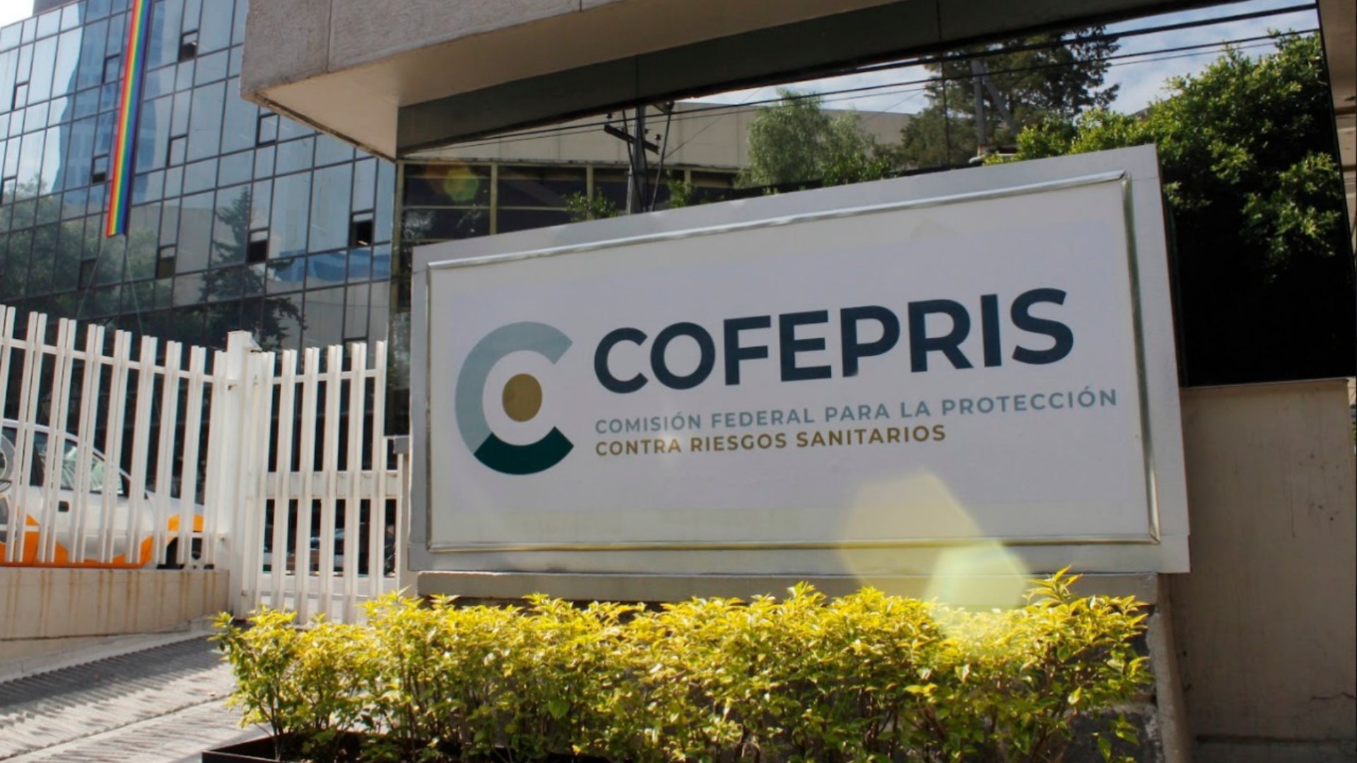 Cofepris Detecta Corrupción Interna: Así Favorecían a Empresa en Evaluaciones | N+