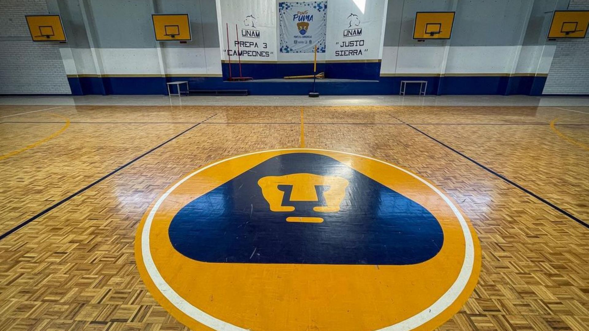 ¿Cuándo Salen los Resultados del Pase Reglamentado UNAM 2024 en DGAE ...