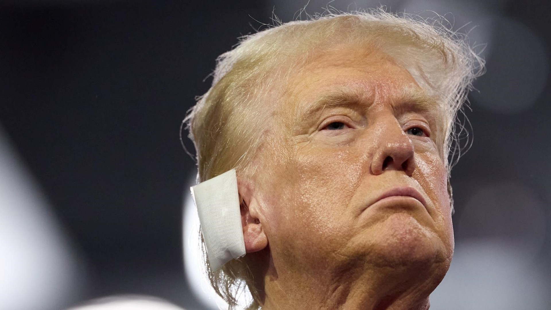 Caricatura "Anime" del Intento de Asesinato de Trump Se Hace Viral: Así ...