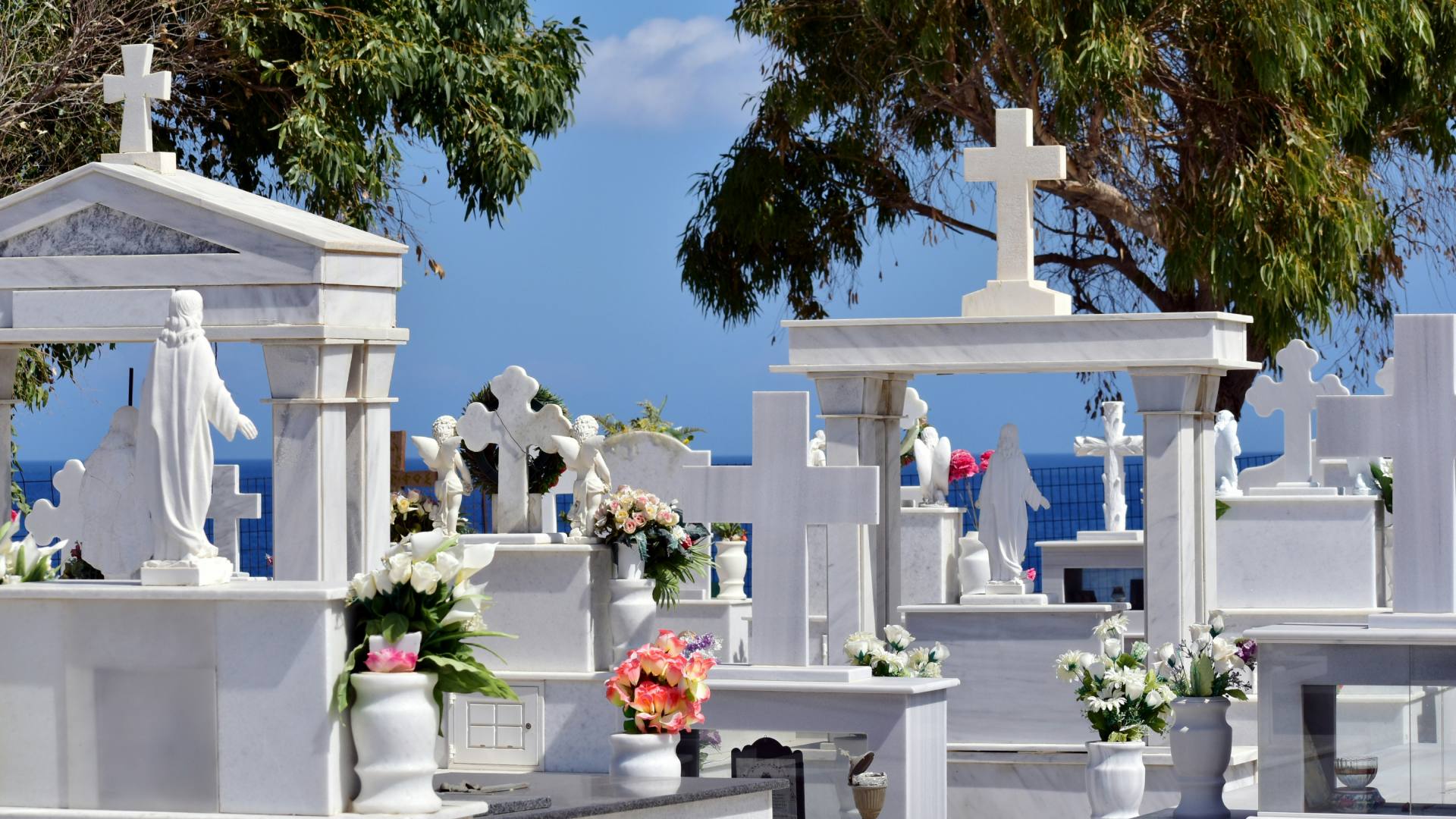 Hombre Saca a Muerto de Tumba para Sepultar a su Abuelita | N+