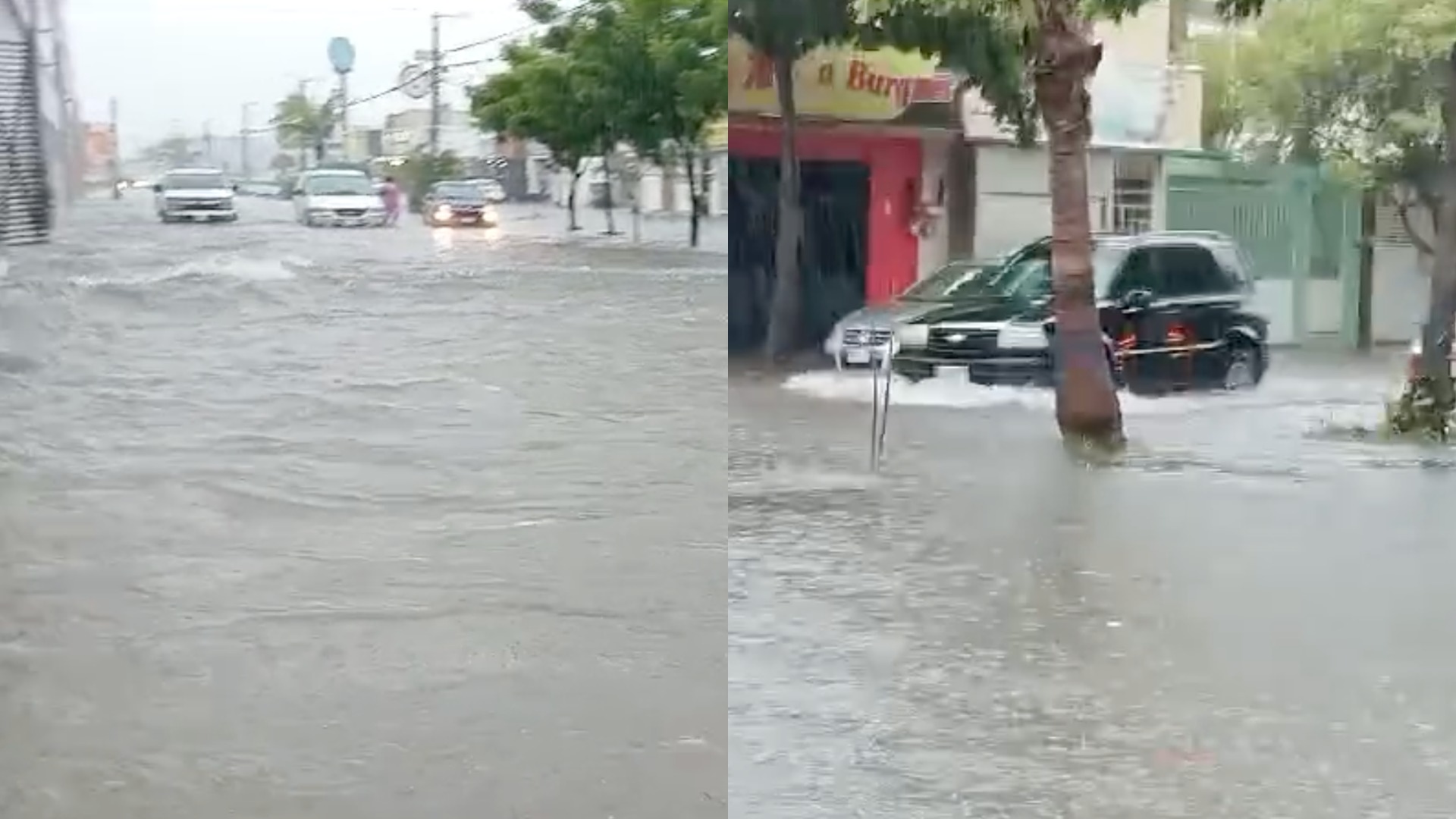Video Fuerte Lluvia Deja Inundaciones Y Autos Varados En Veracruz N