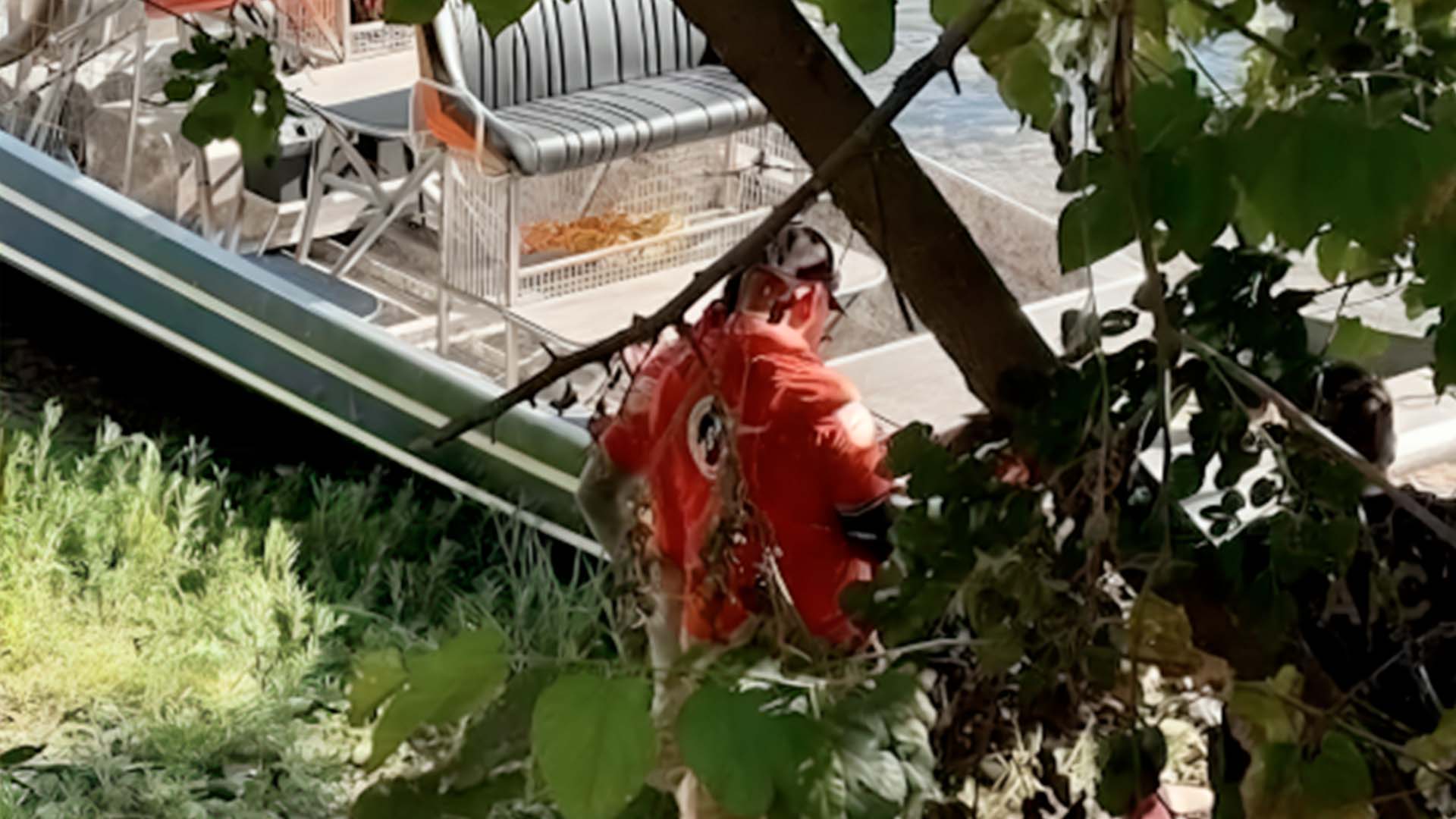 Muere Niño Ahogado en el Río Bravo | N+