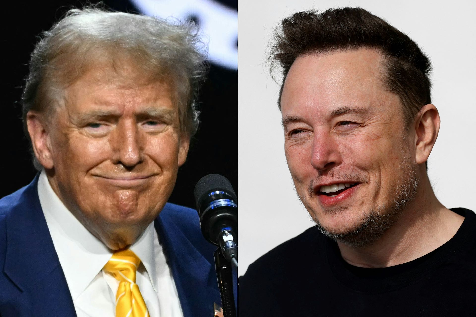 Entrevista de Elon Musk a Trump: ¿De Qué Hablaron el Candidato y el ...