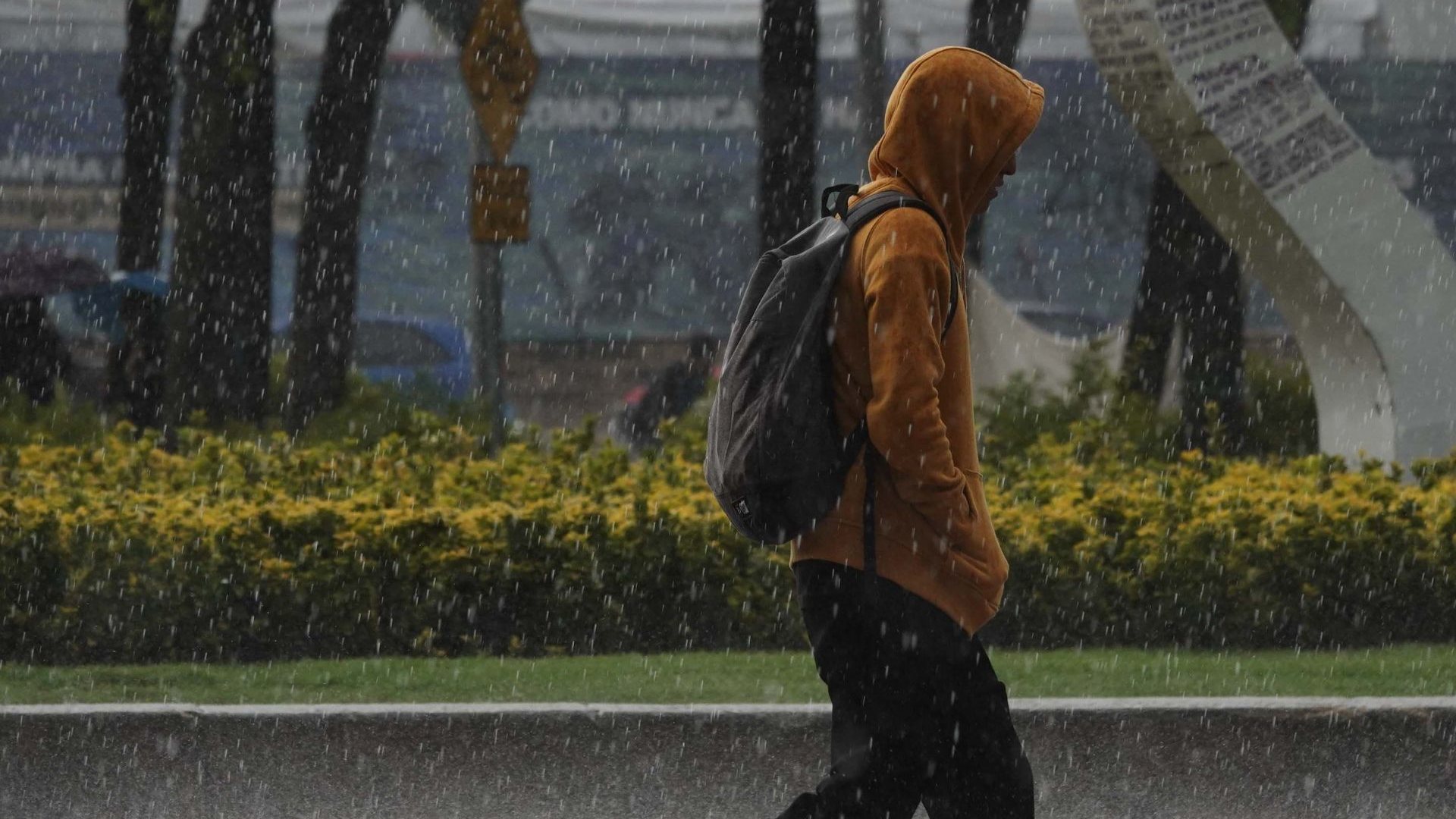 Pronóstico del Clima en México Hoy 30 de Agosto de 2024: Fuertes ...