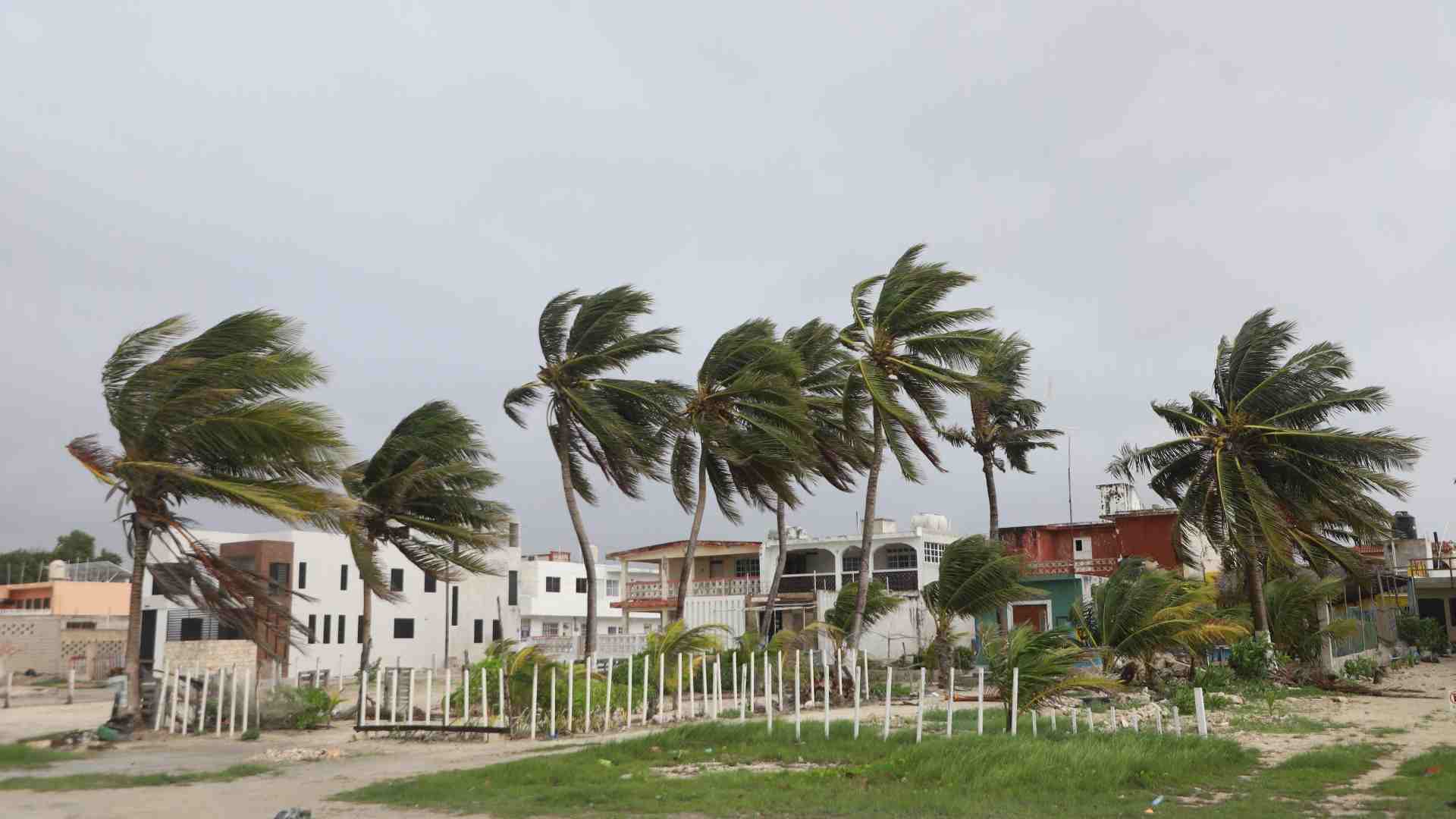 Se Forma Tormenta Tropical Debby y Podría Impactar como Huracán Florida ...