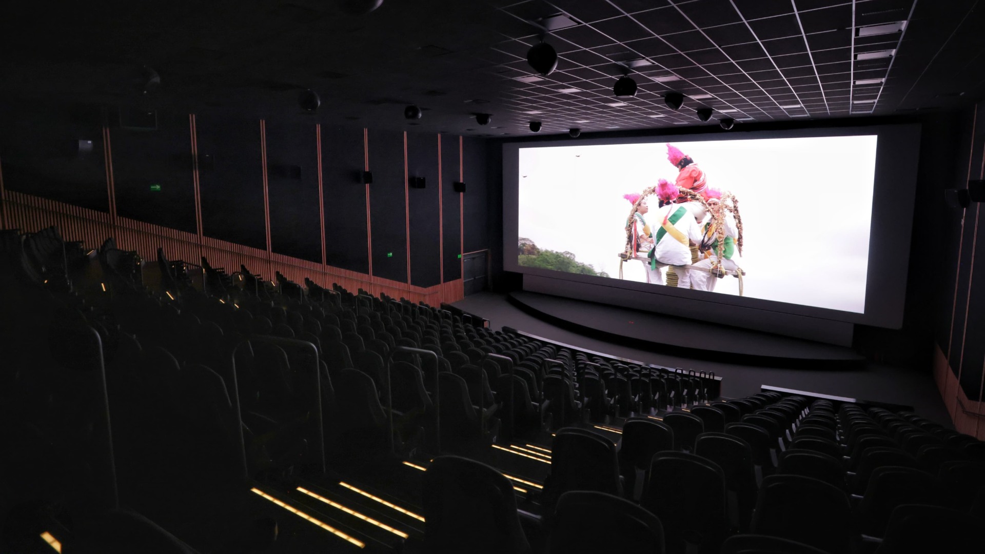 ¿Cómo Son las Salas de la Cineteca Nacional Chapultepec? Ofrecerán ...