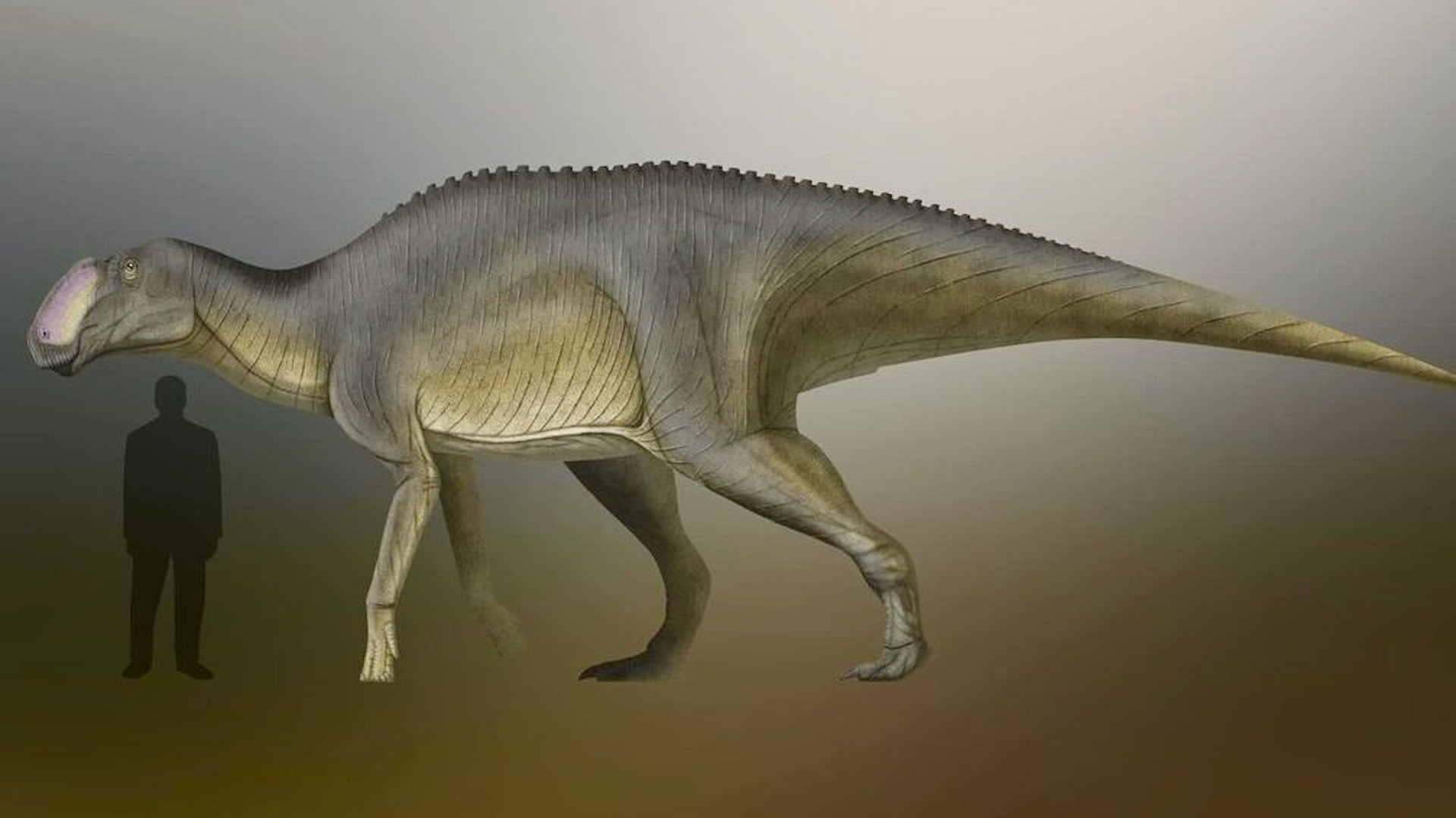 Coahuilasaurus Lipani: Así es la Nueva Especie de Dinosaurio ...