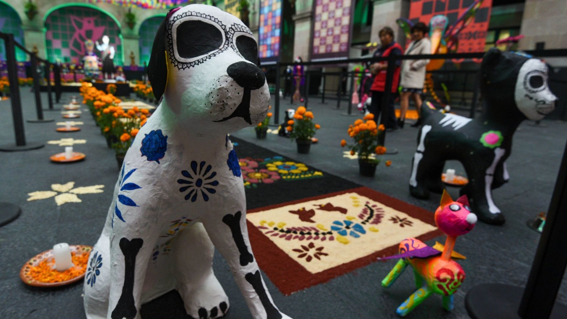 ¿A Qué Hora Llegan las Mascotas el Día de Muertos 2024? Horario en que ...