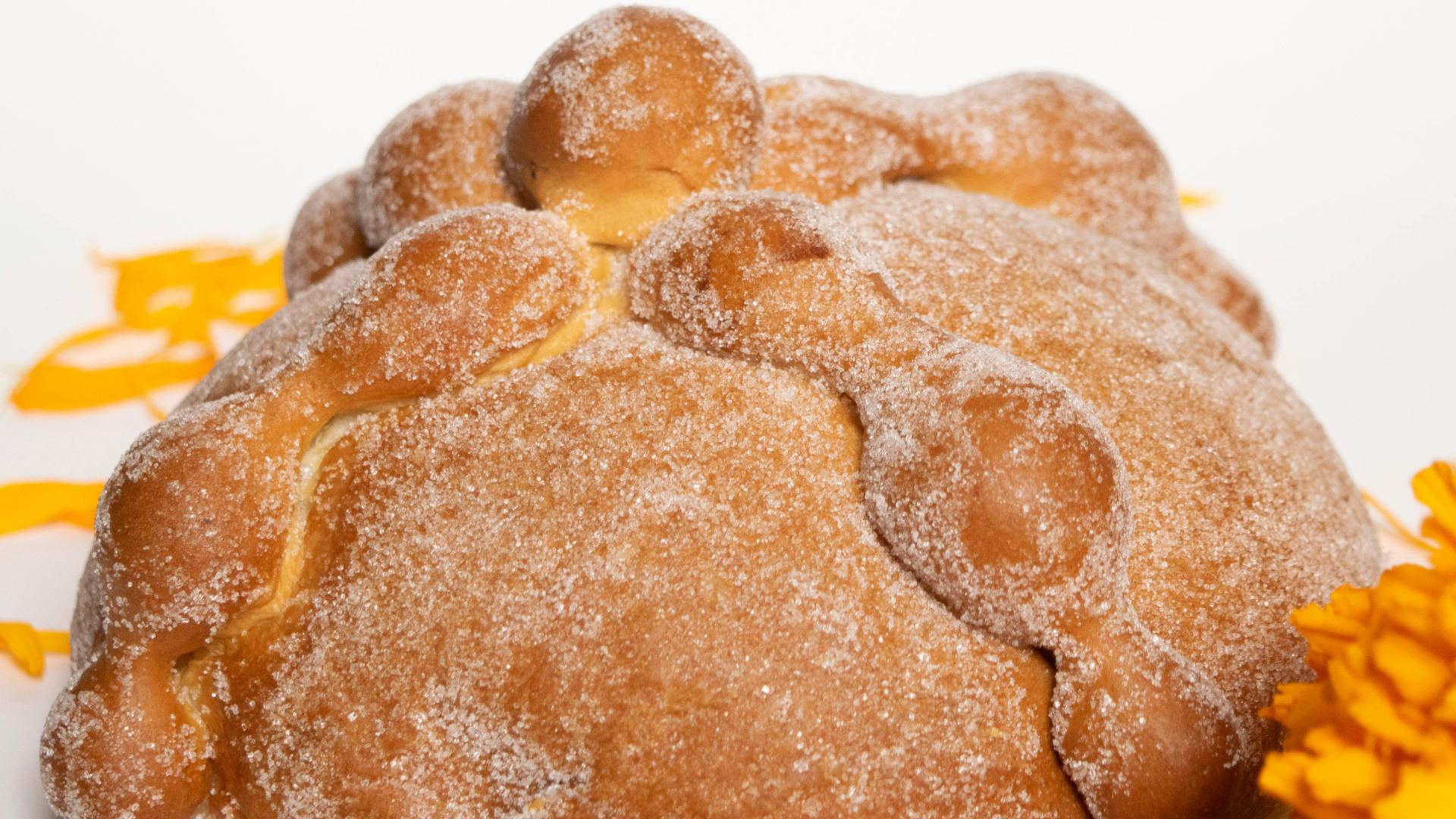 ¿Dónde Comer el Mejor Pan de Muerto en CDMX? En Estos Festivales y Panaderías Hay Desde Octubre ...