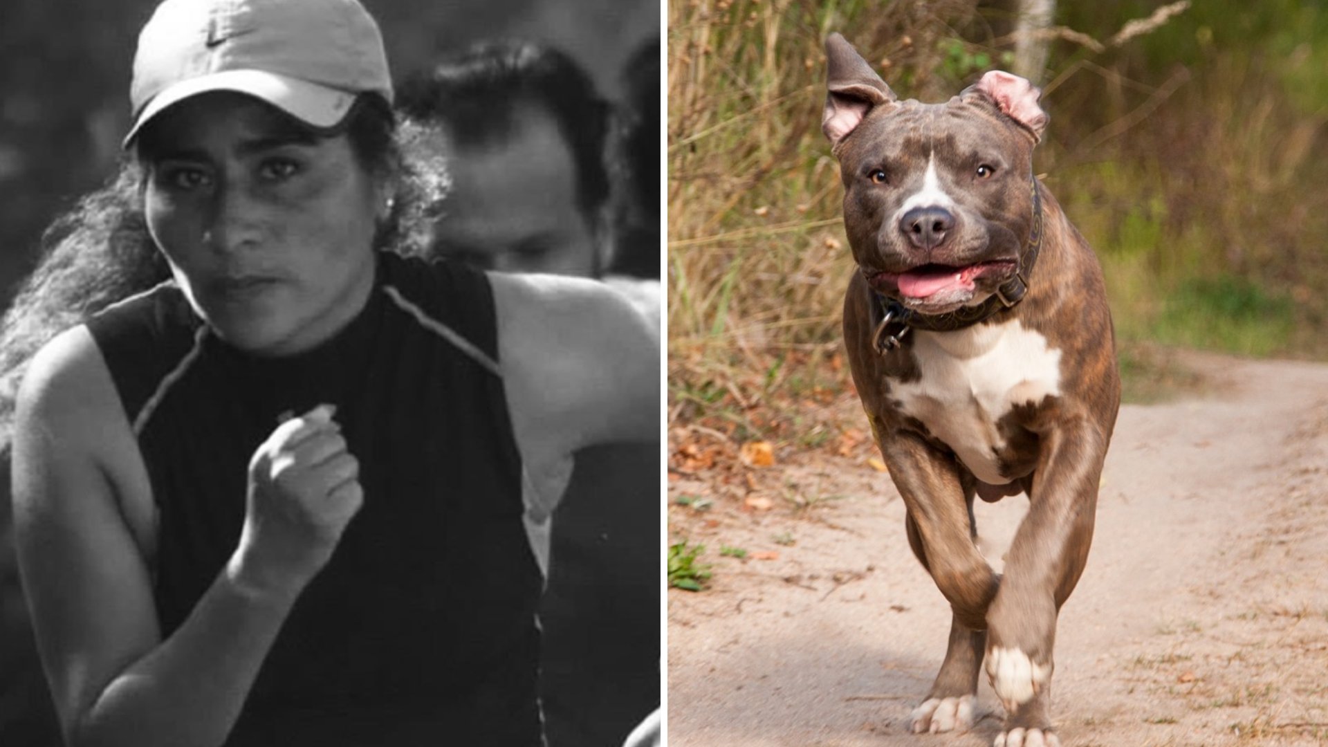 Isidra Torres Hernández: Maratonista Mexicana Muere Atacada por Perros Pitbull Afuera de su Casa ...