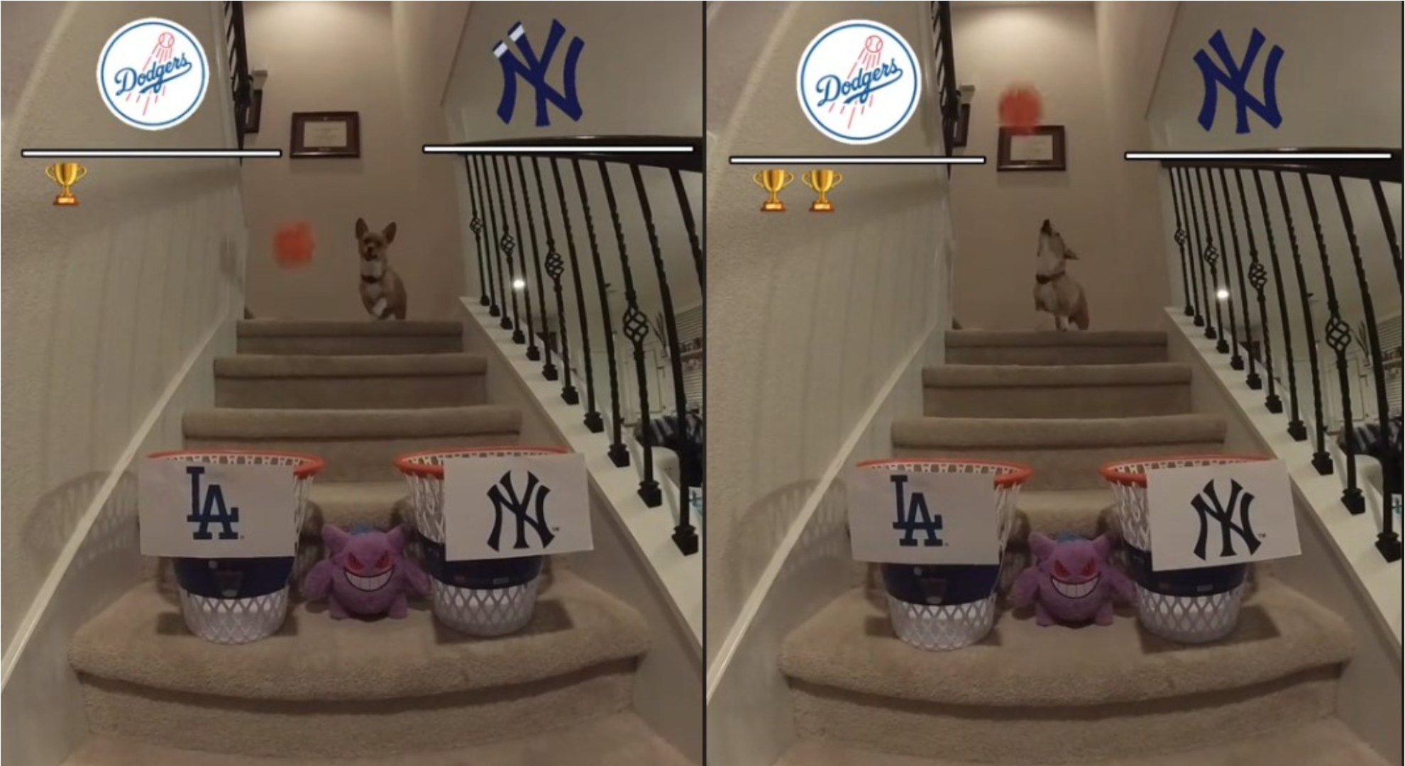 ¿Quién Ganará la Serie Mundial 2024 Dodgers vs Yankees? Perro Corgi ...