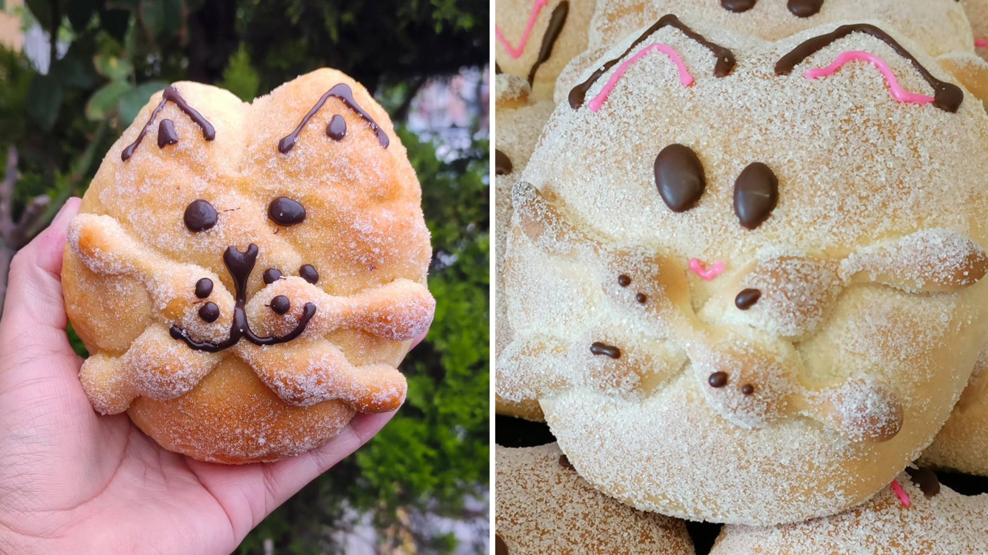 Michipanes en CDMX: Negocios le Dan Forma de Gato al Pan de Muerto 2024 ...