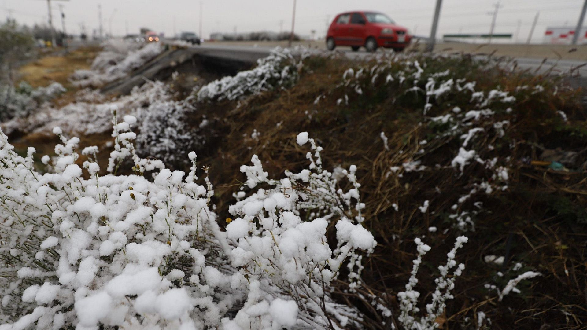 ¿Nevará Hoy en México? En Estos Estados Habría Caída de Nieve este ...