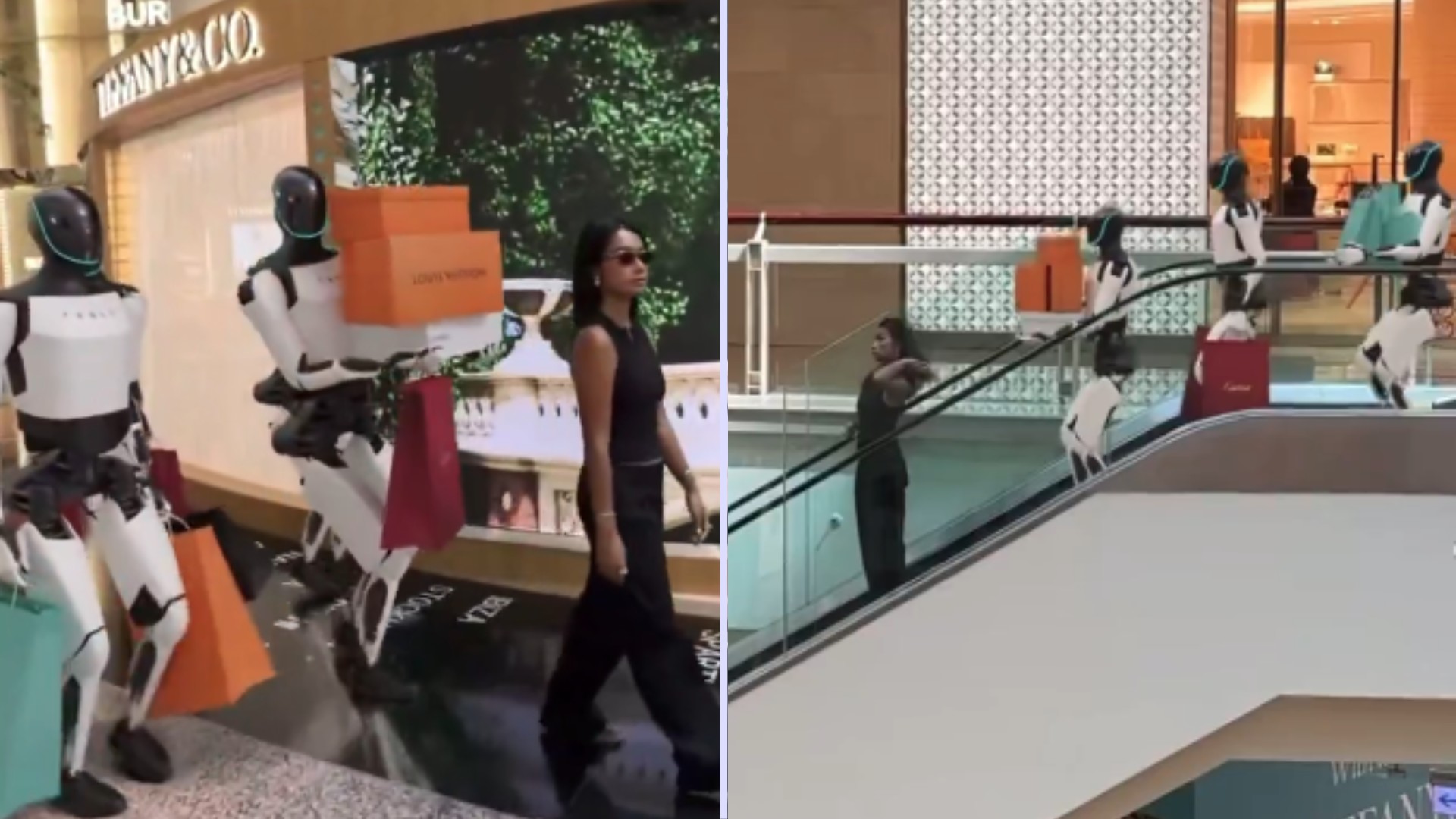 ¡Es el Futuro! Captan a Mujer con Robots de Tesla Cargando sus Compras | N+