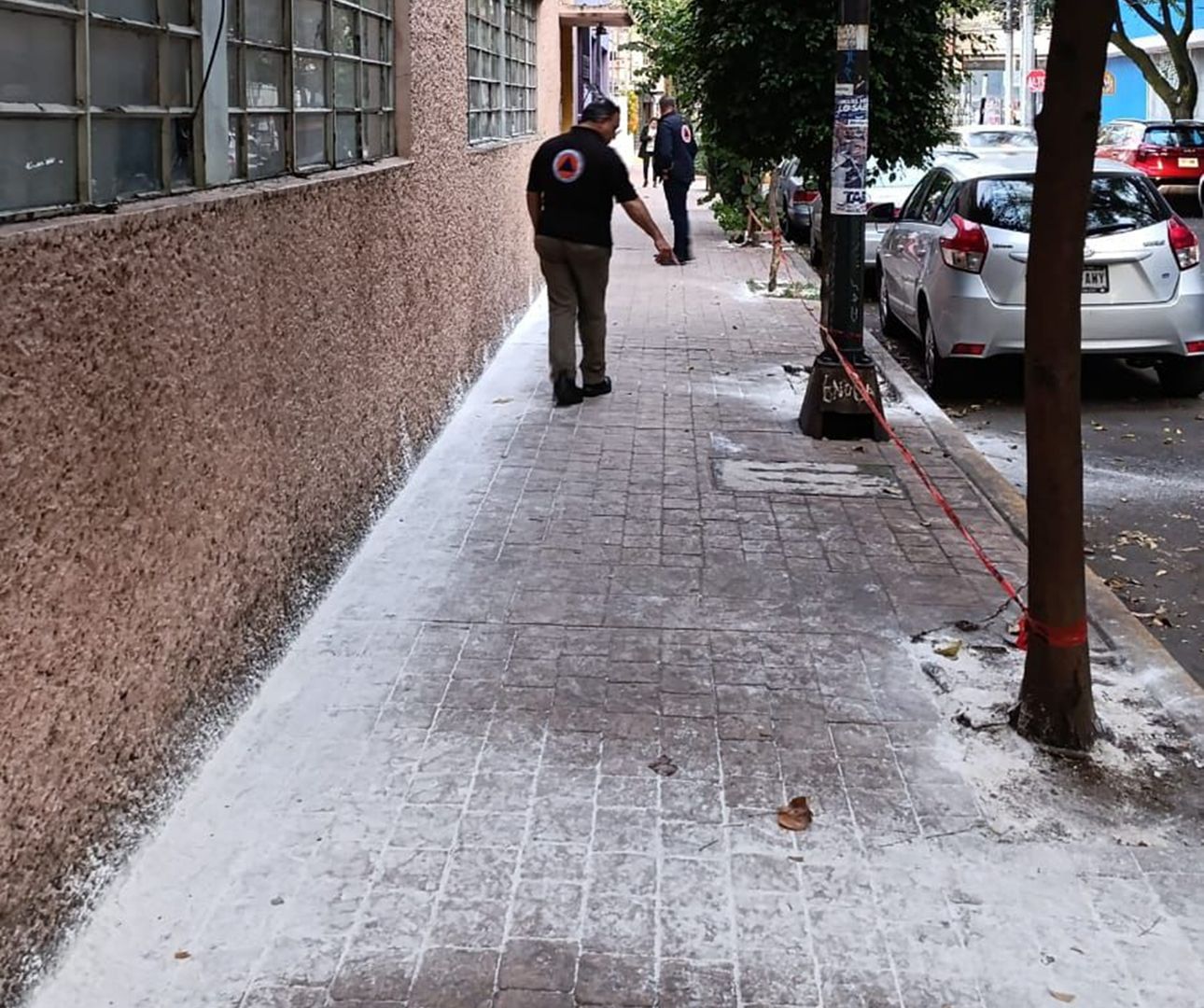 Polvo Blanco en las Calles de la Colonia Escandón: ¿Un Riesgo para las ...