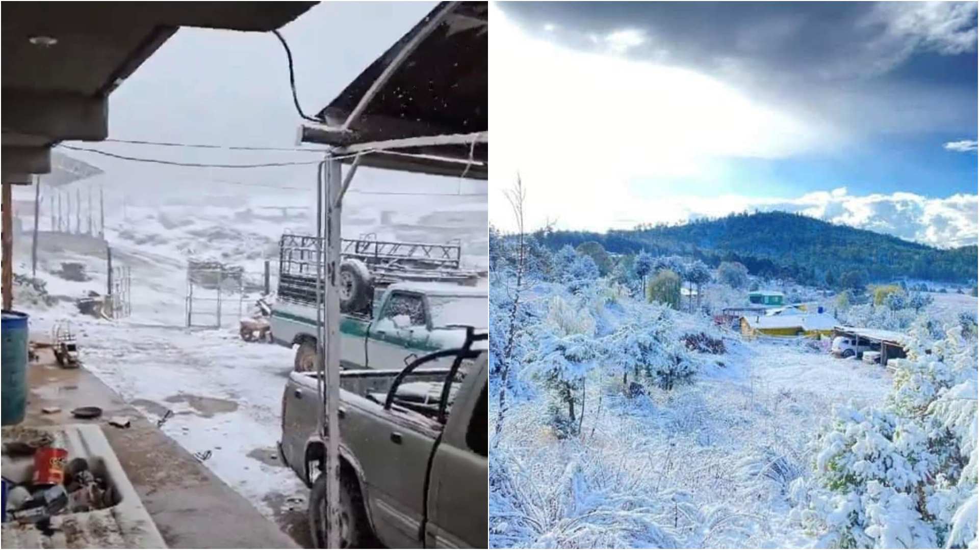 Caída de Nieve en Zacatecas: Así Se ve en Imágenes Ante Llegada del ...