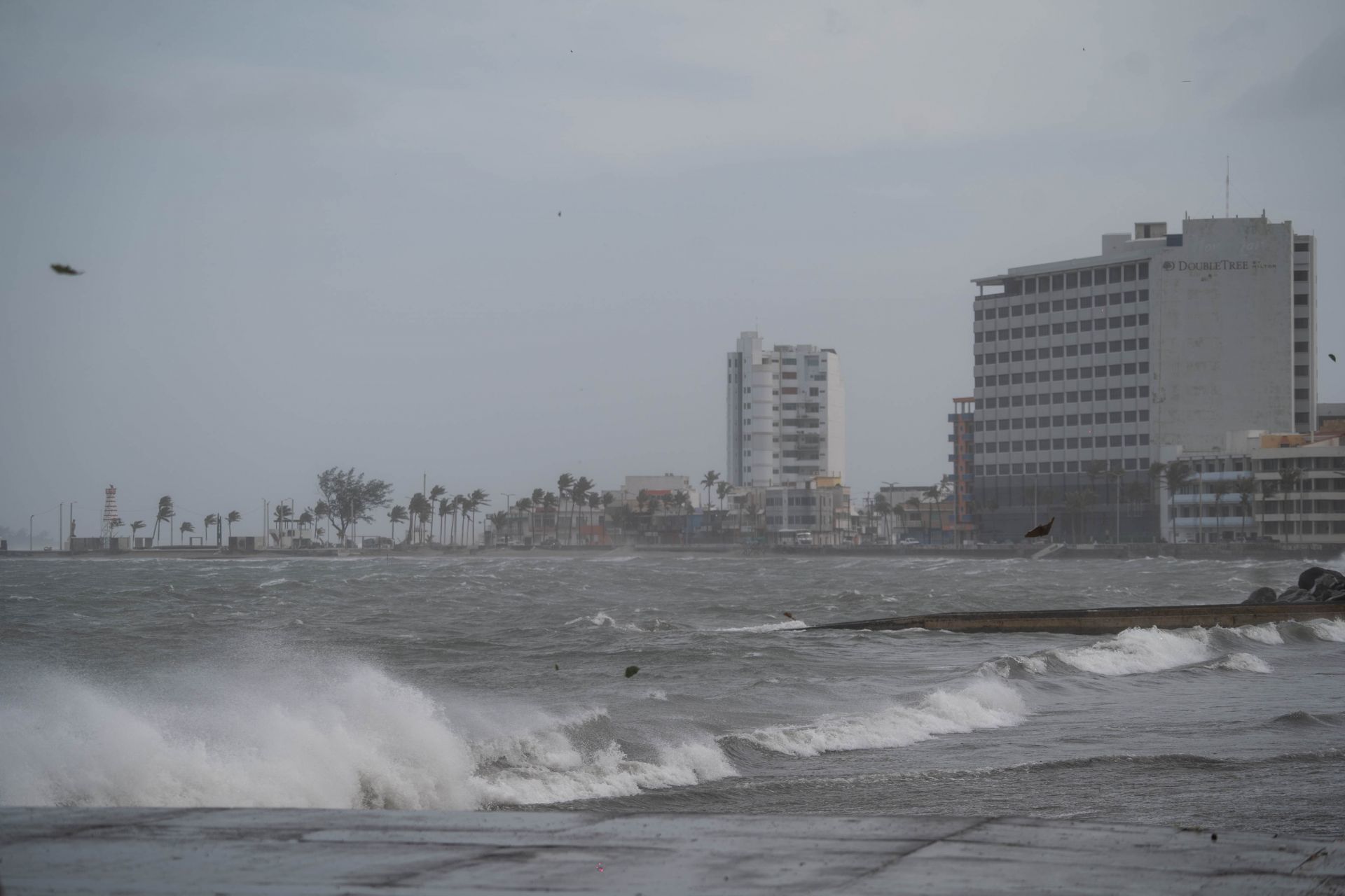 Veracruz Adelanta Vacaciones: ¿Por Qué No Hay Clases Mañana 11 de ...
