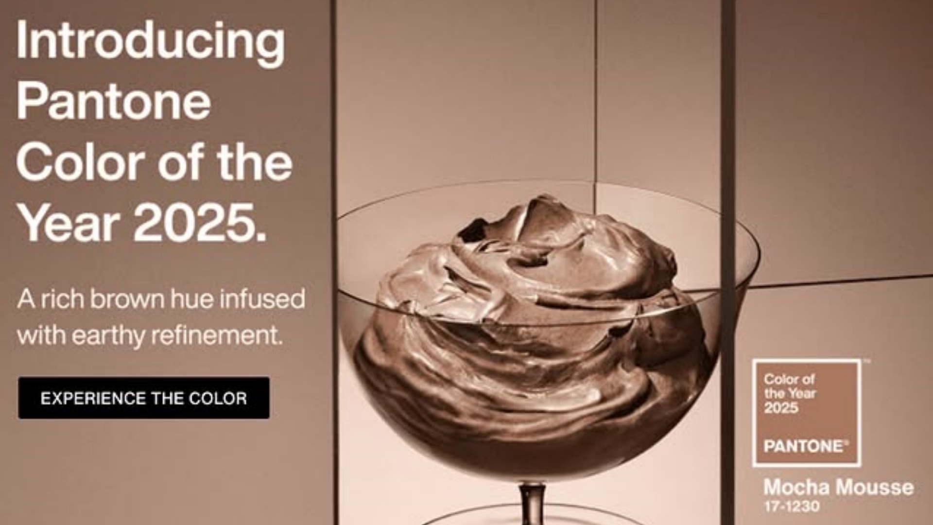 ¿Qué Es Mocha Mousse? Este Es el Significado y Descripción del Color del Año 2025 de Pantone | N+