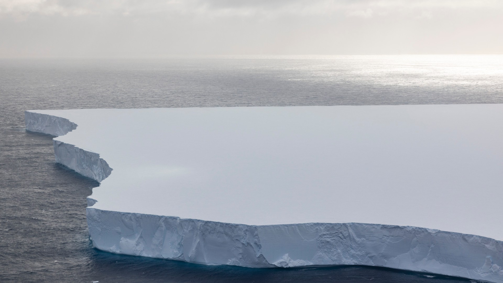 Iceberg A23A, el Más Grande del Mundo, Podría Chocar Contra una Isla; ¿Dónde y Cuándo? | N+